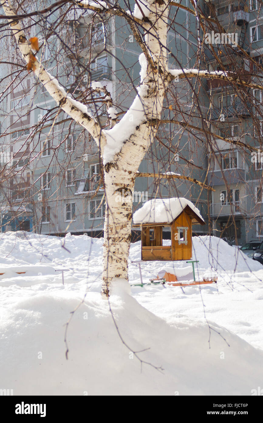 Trough for birds on a tree Stock Photo - Alamy