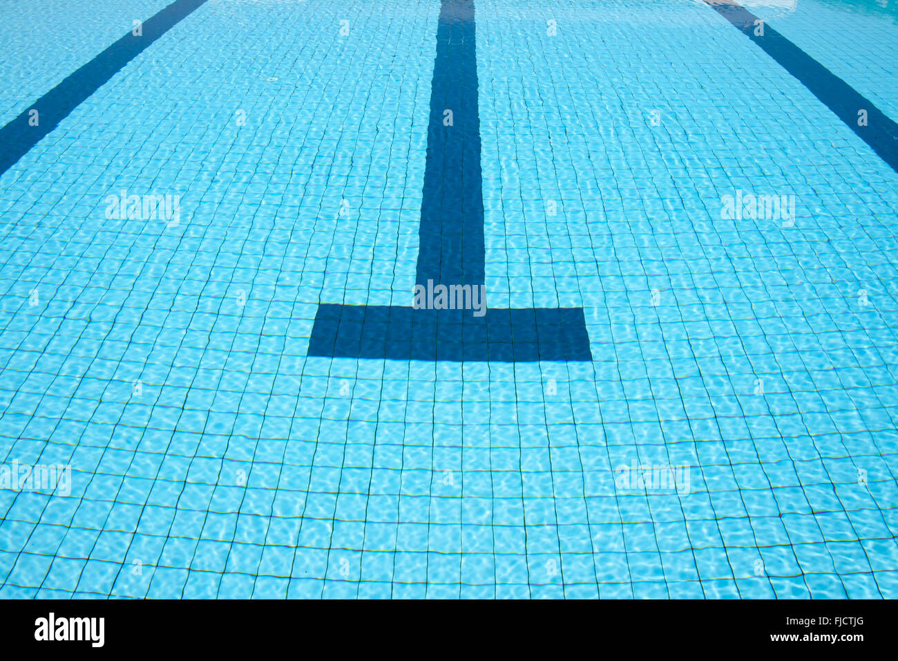 swiming pool with blue color, lane for race Stock Photo - Alamy