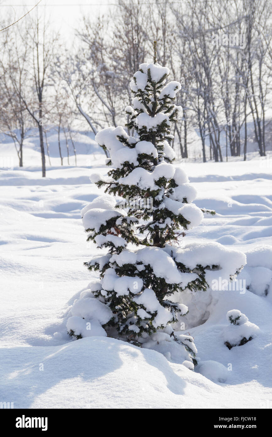 Beautiful winter landscape with Stock Photo - Alamy