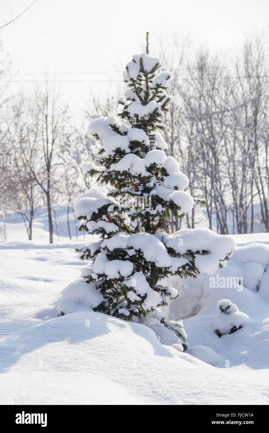 Beautiful winter landscape with Stock Photo - Alamy
