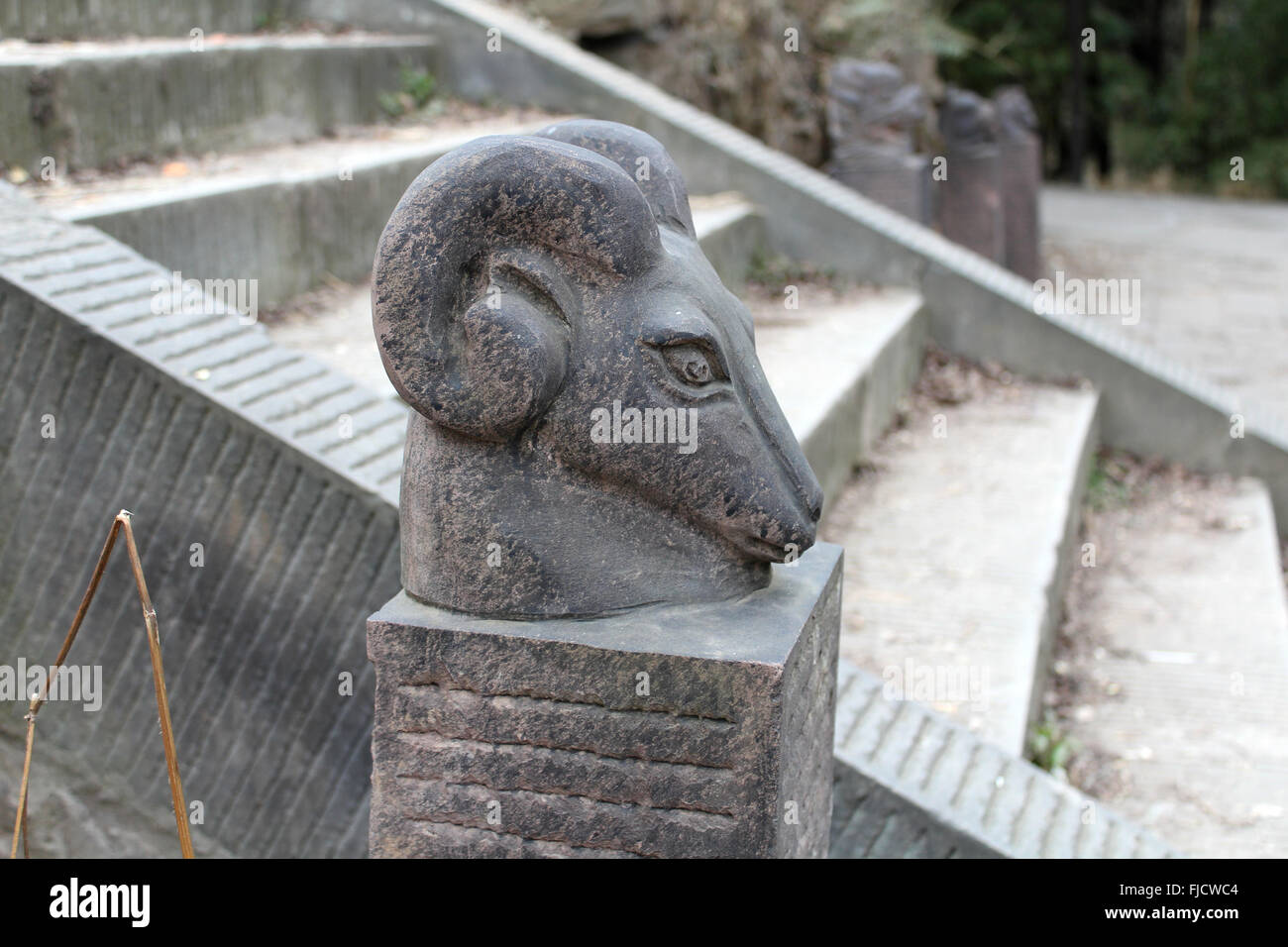 Sheep head hi-res stock photography and images - Alamy