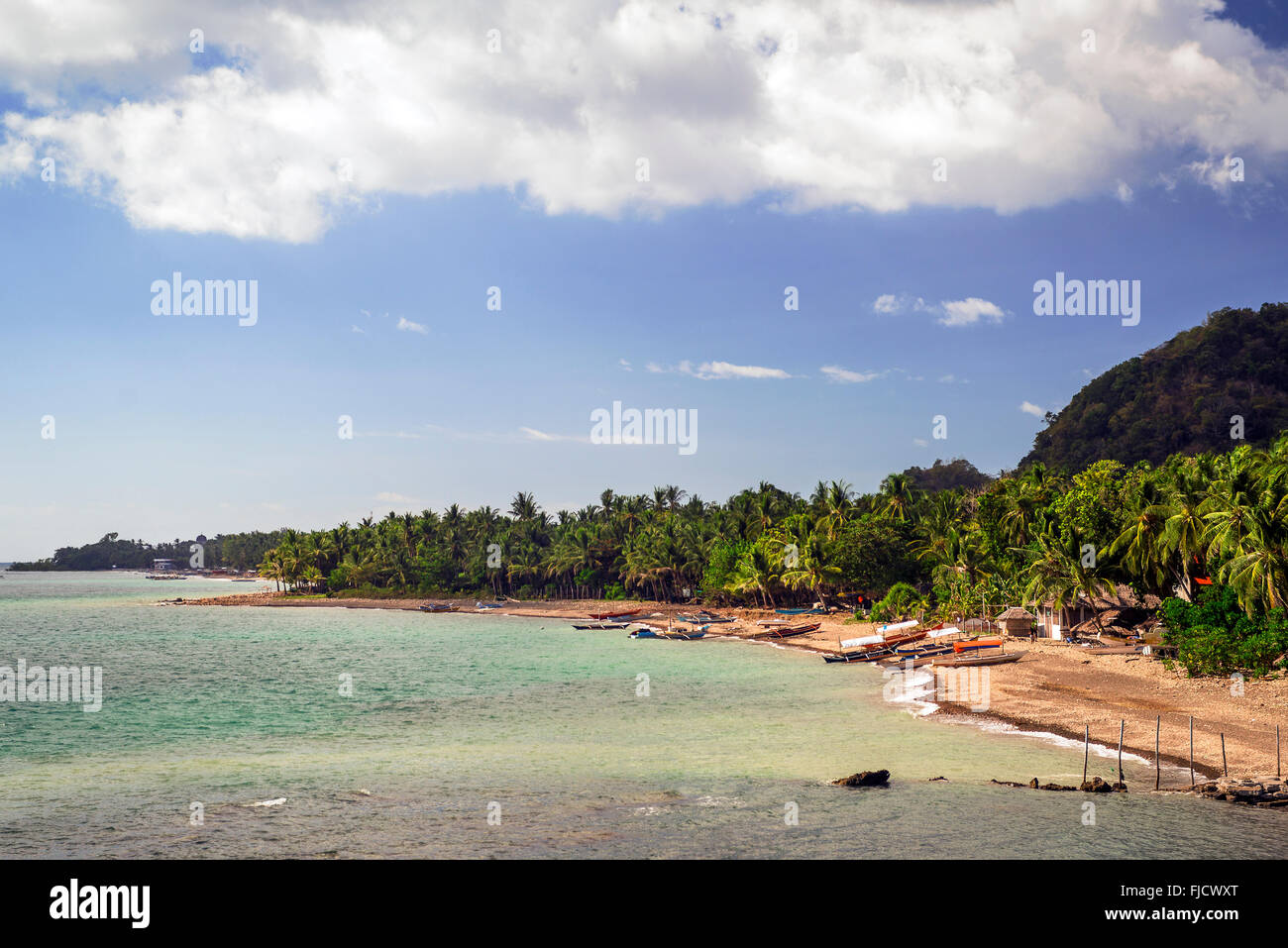 Beach in Iloilo. Palm Trees on background Stock Photo - Alamy