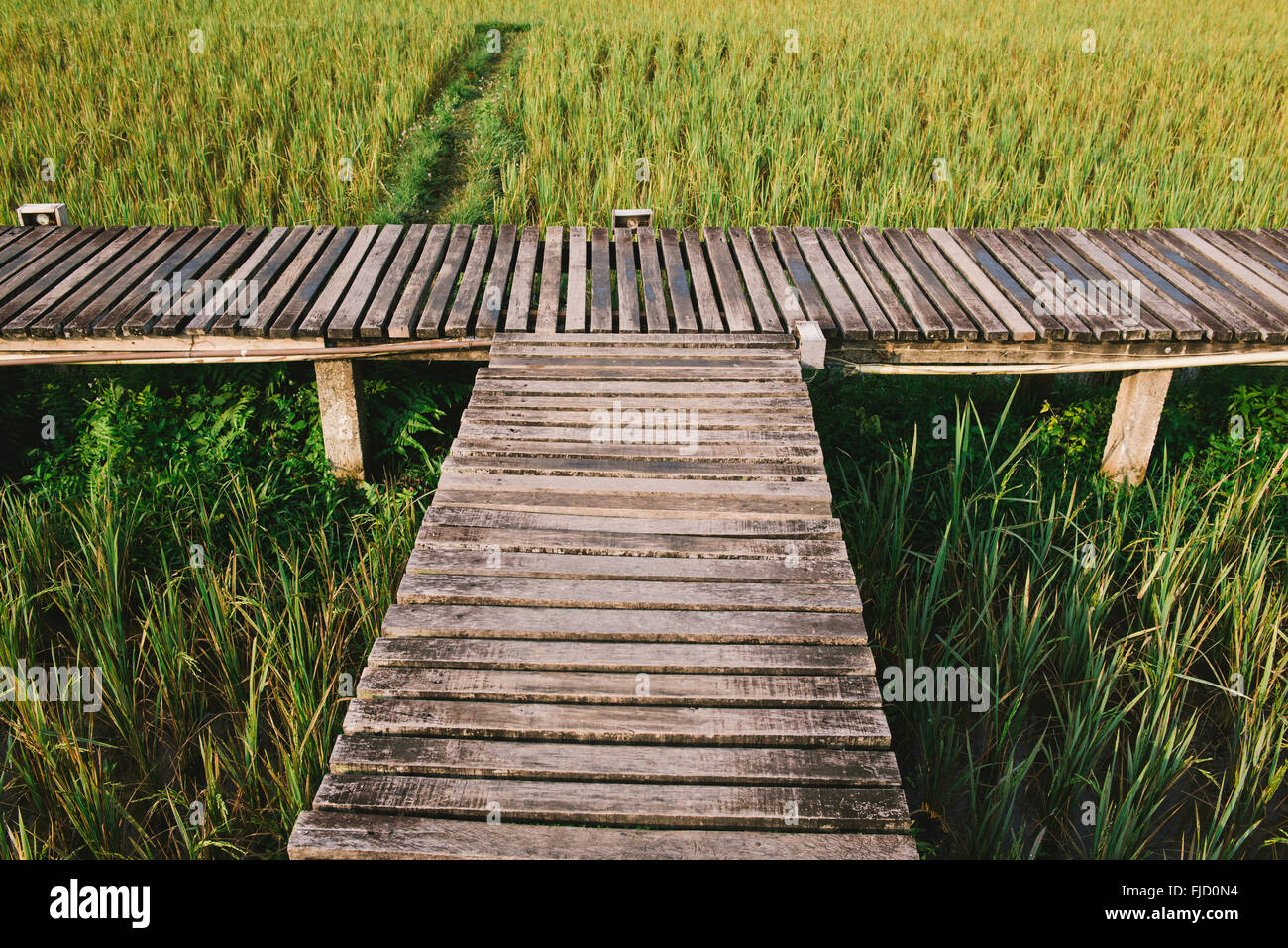 Wooden walkway with crossroad Stock Photo - Alamy