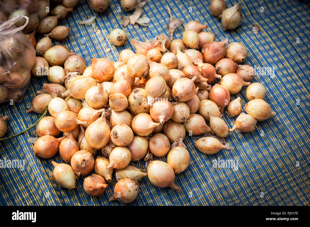 Close Up Spring Onion Roots High Resolution Stock Photography and ...