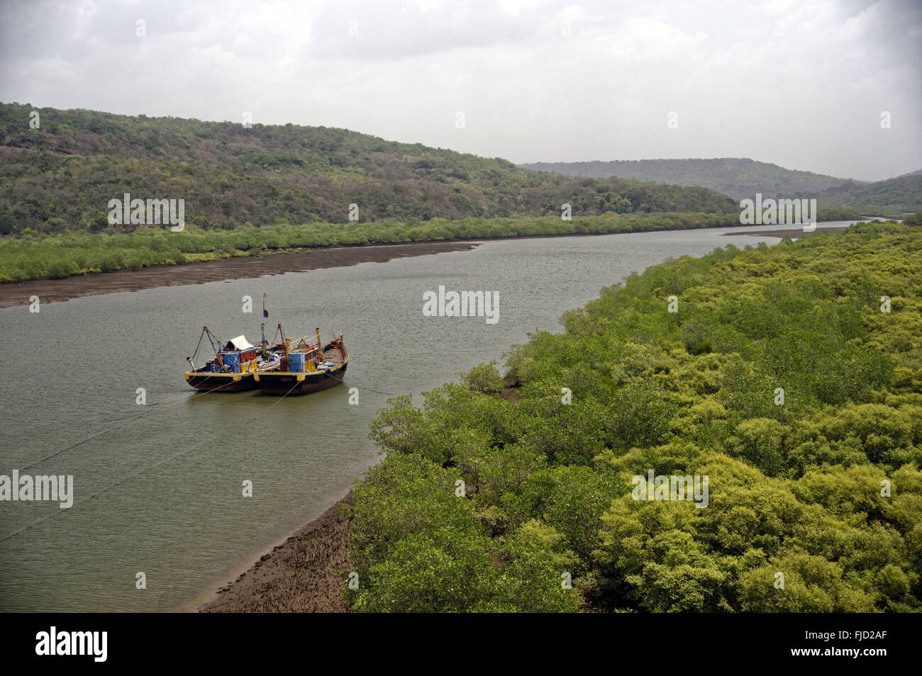 Fishing boats in creek anjarle, maharashtra, india, asia Stock Photo ...