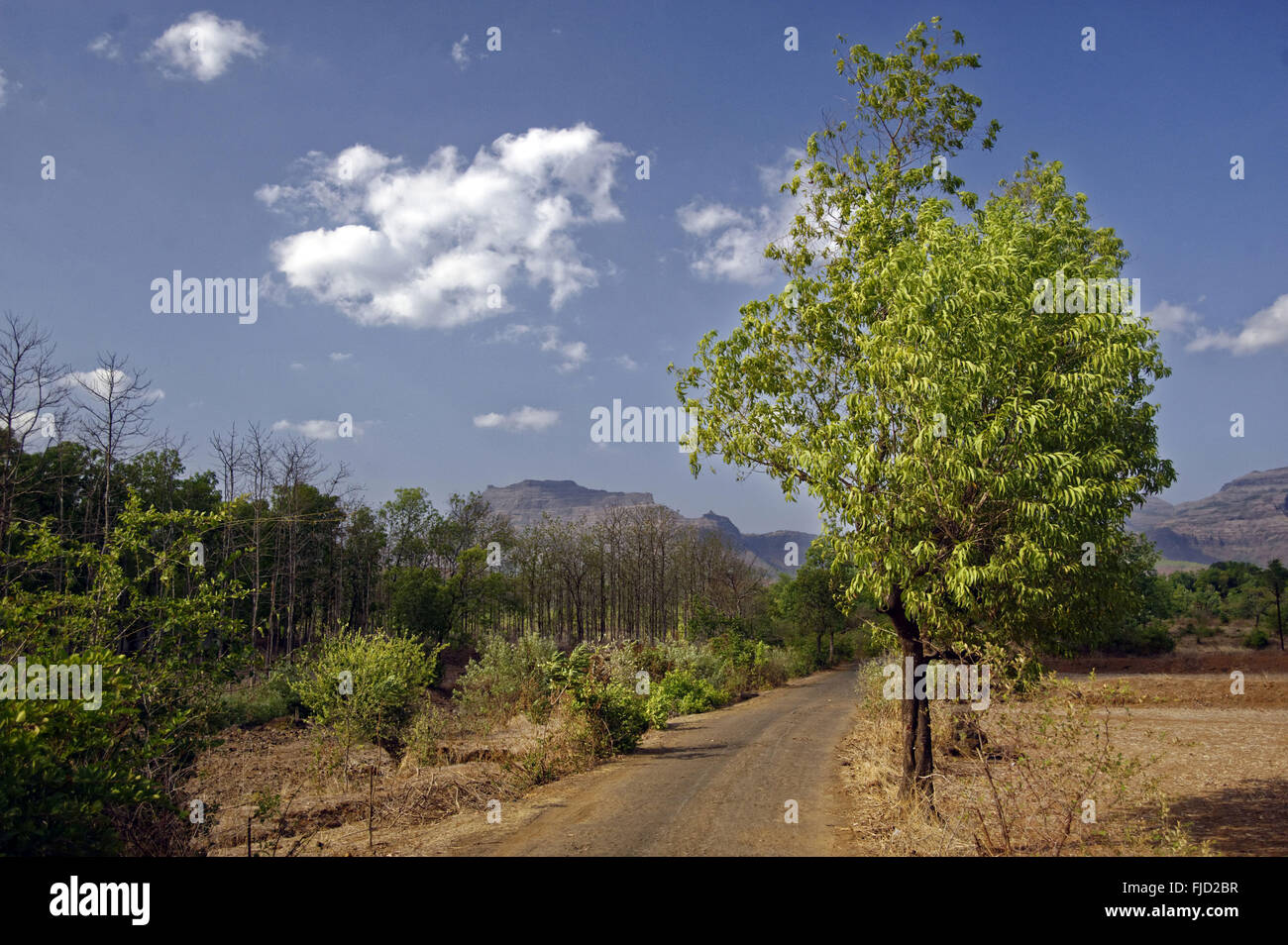 Ajoba mountain road, thane, maharashtra, india, asia Stock Photo - Alamy