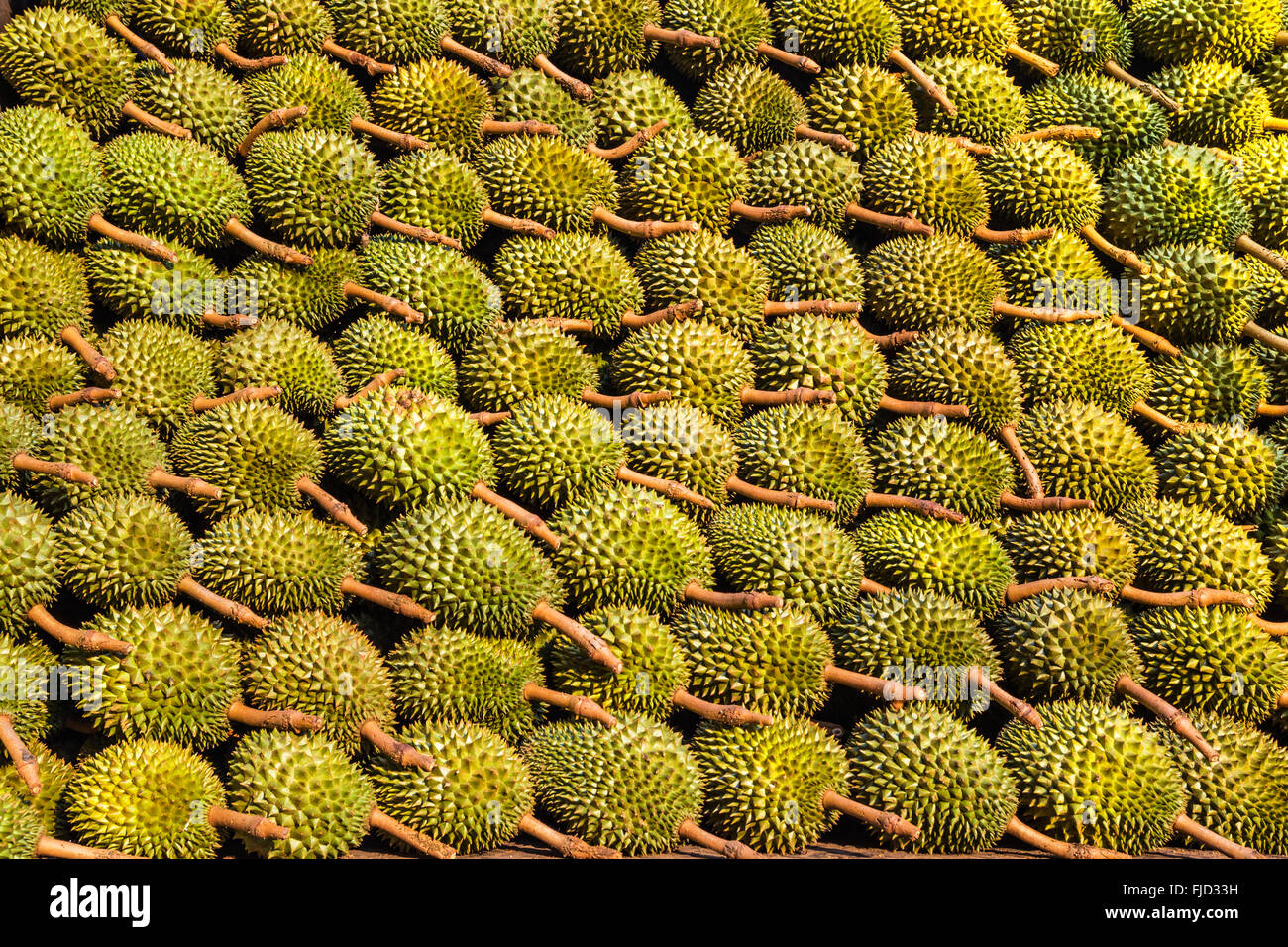 Durian culture hi-res stock photography and images - Alamy