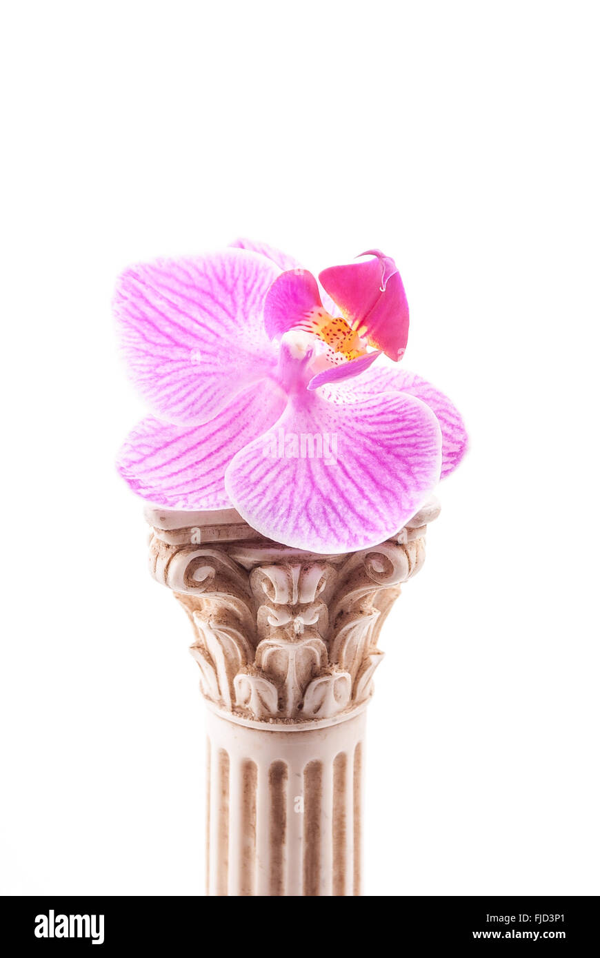 Classical column with flower Stock Photo - Alamy