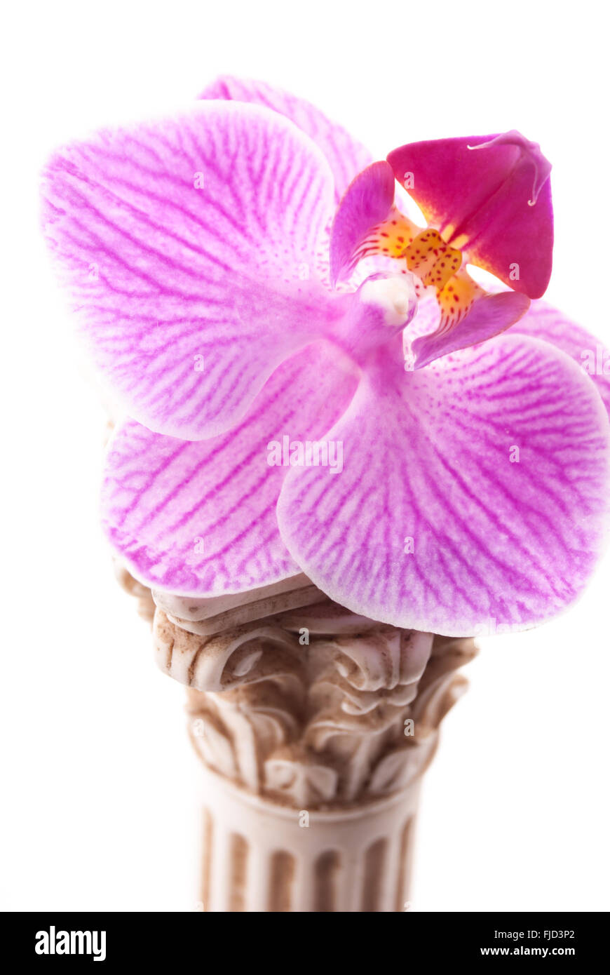 Classical column with flower Stock Photo - Alamy