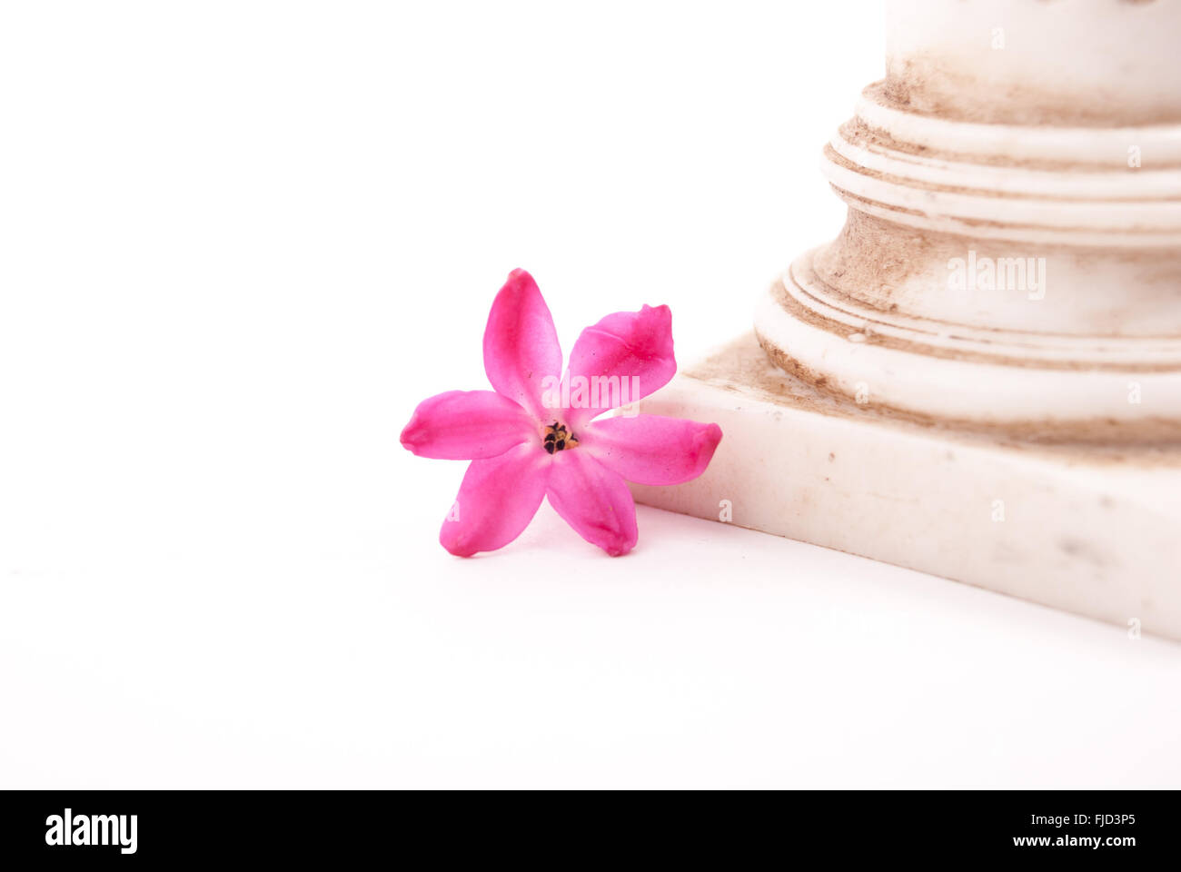 Classical column with flower Stock Photo - Alamy