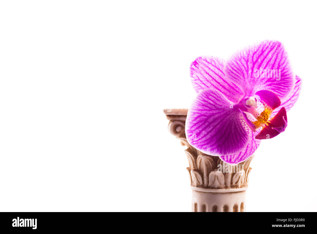 Sculpture greece classical woman Cut Out Stock Images & Pictures - Alamy