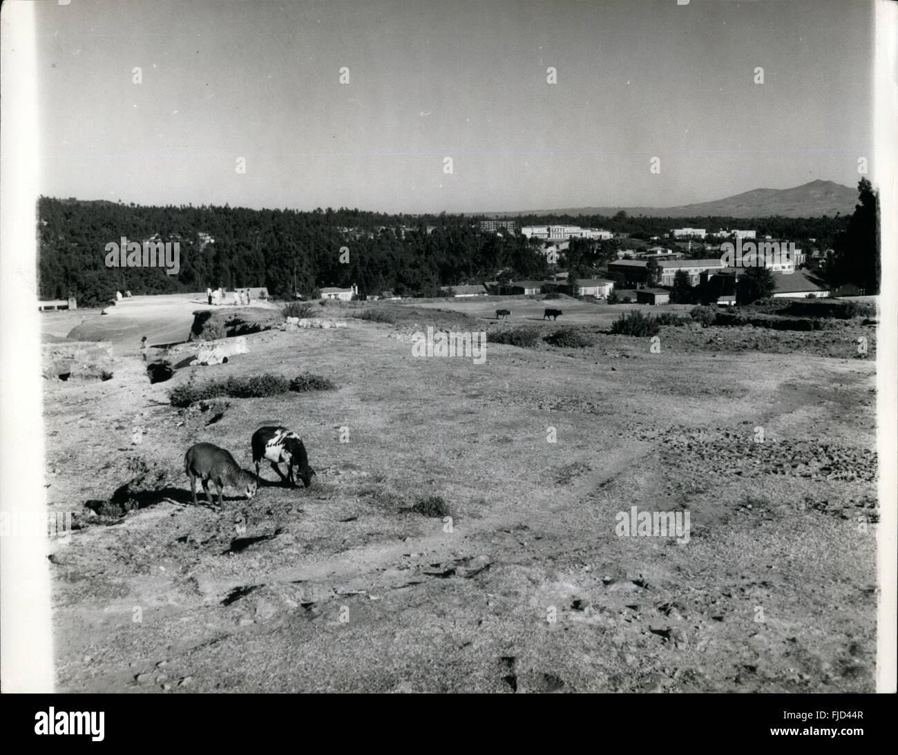 Addis ababa ethiopia countryside hi-res stock photography and images ...