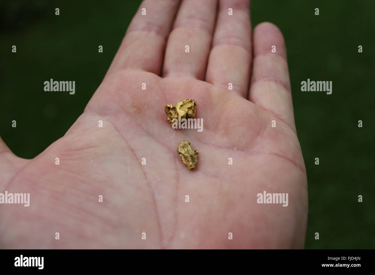 Gold ore mineral hi-res stock photography and images - Alamy