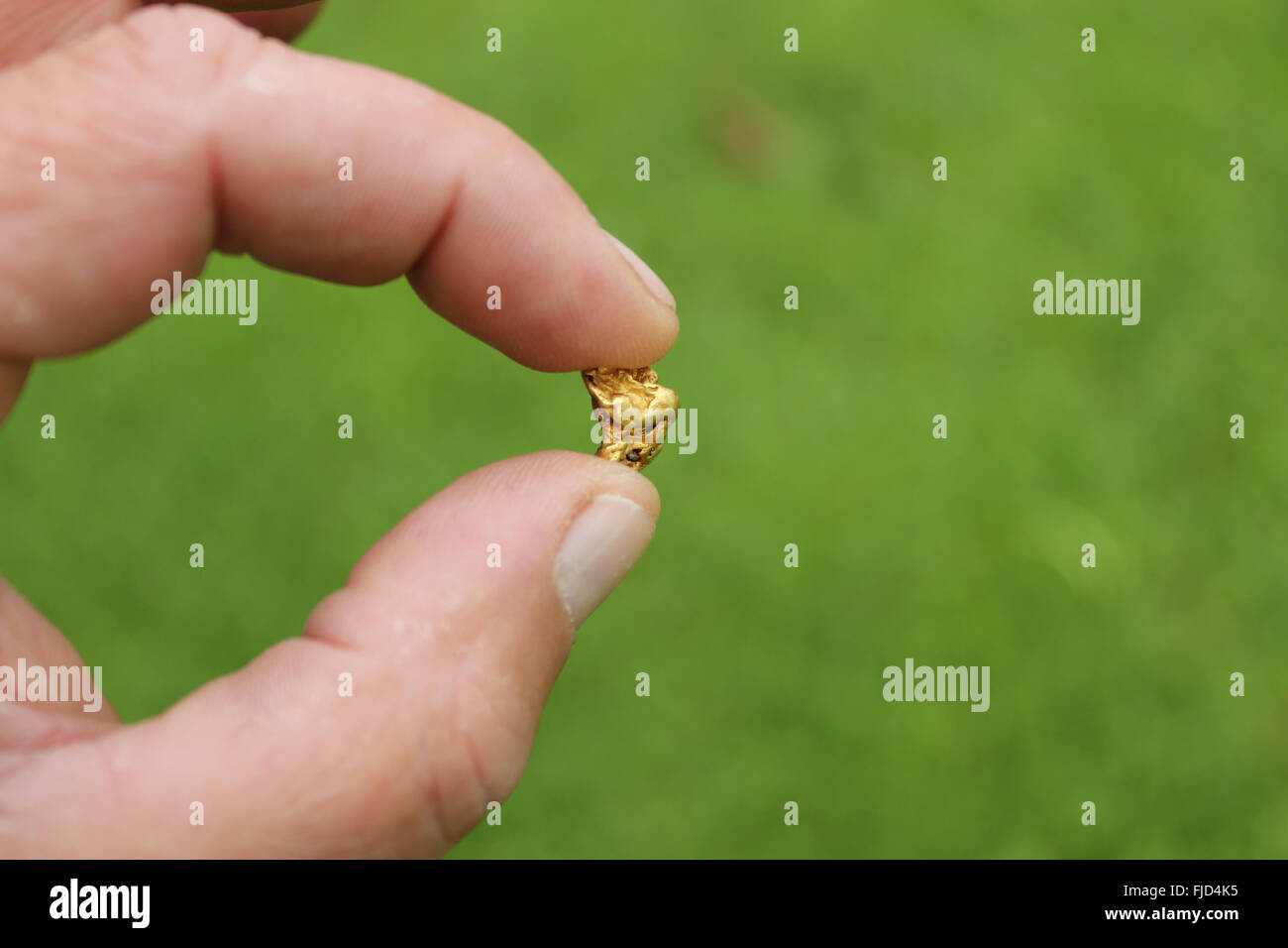 Gold Nugget, real Gold. mining from the River in Austria, real Gold ...
