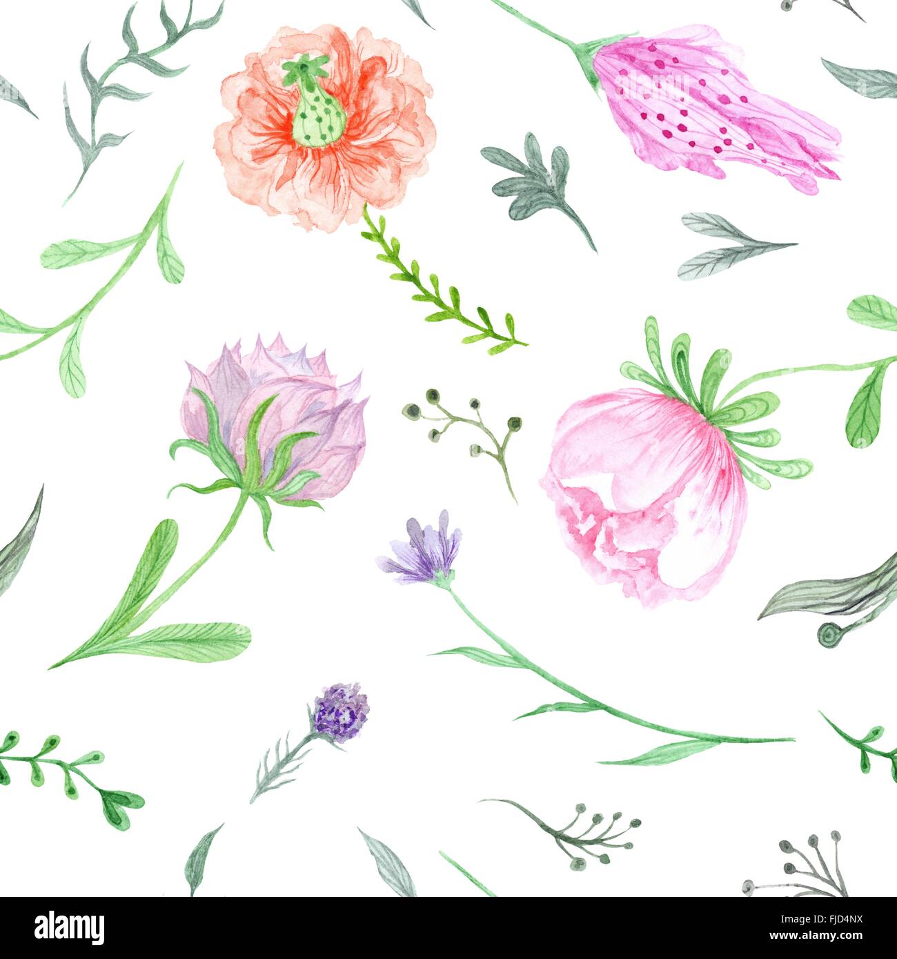 Seamless eco texture with wild flowers and herbs on white background ...