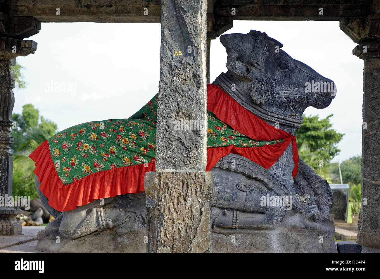 Nandi statue, dodda basappa shiva temple, gadag, Karnataka, india, asia ...