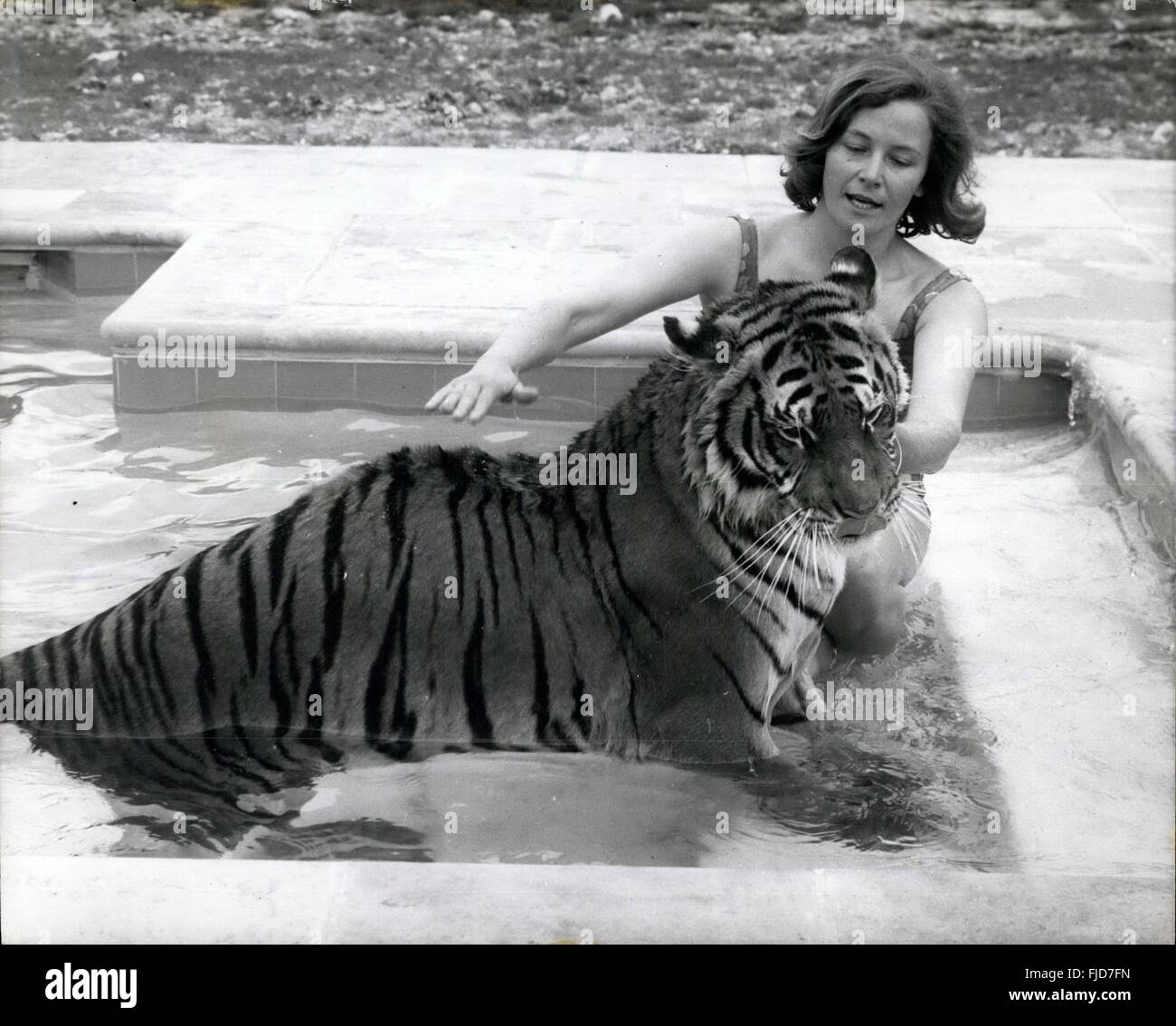 Chipperfields hi-res stock photography and images - Alamy