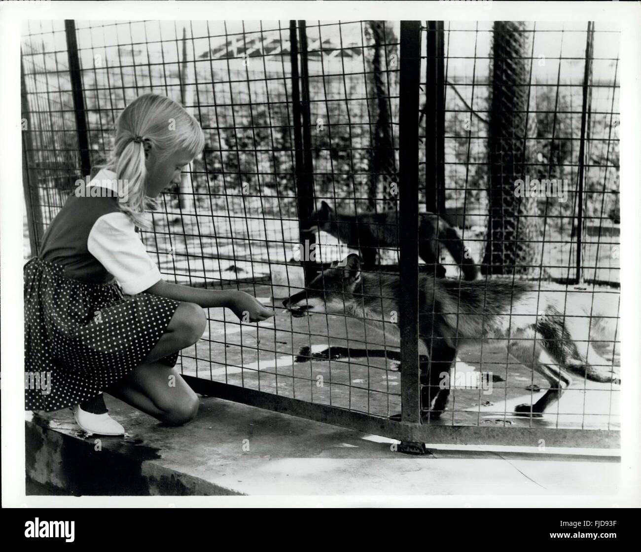 Caged fox hi-res stock photography and images - Alamy