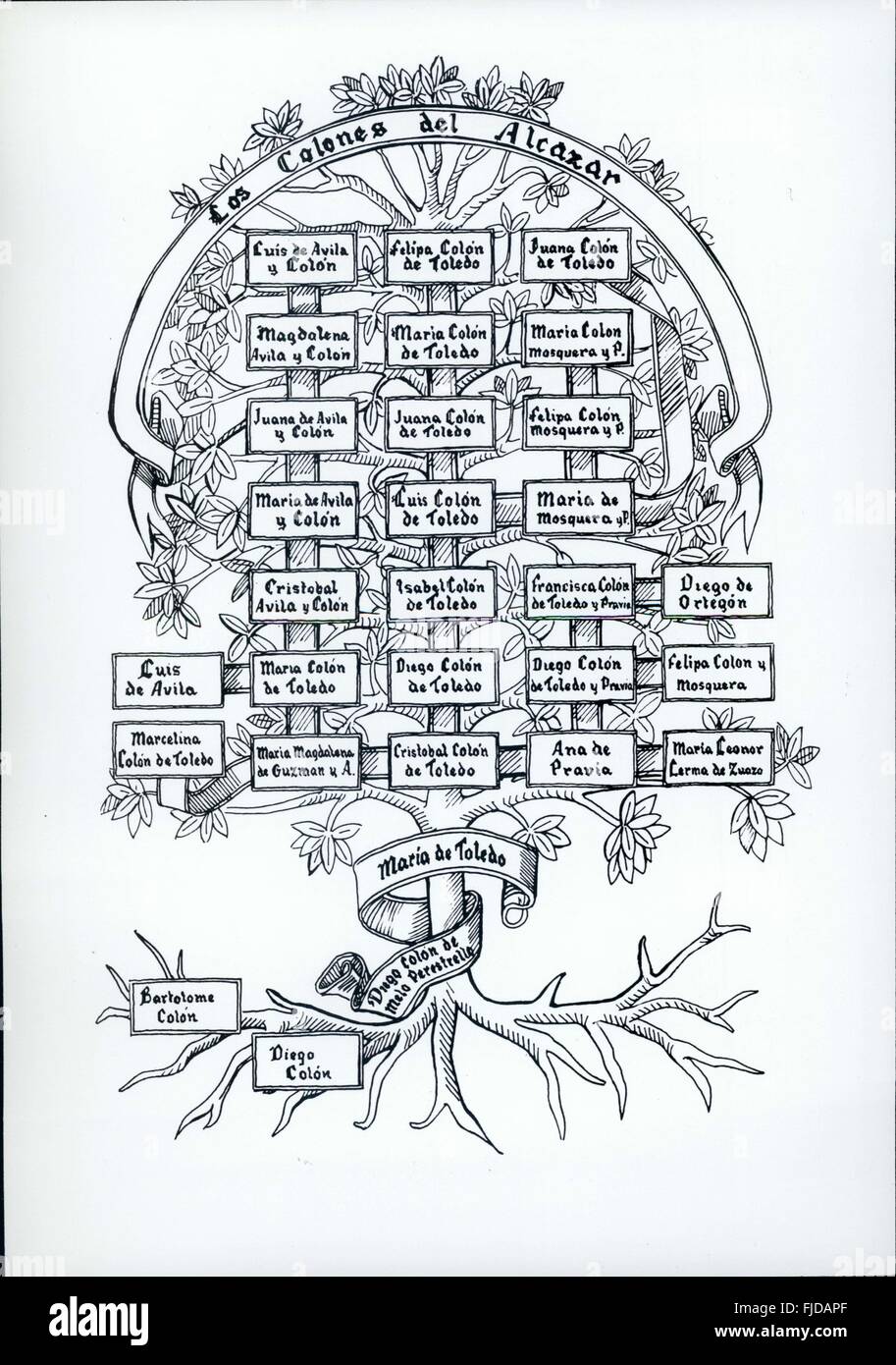 1968 - Family tree of the Columbus family exhibited at the Alcazar ...