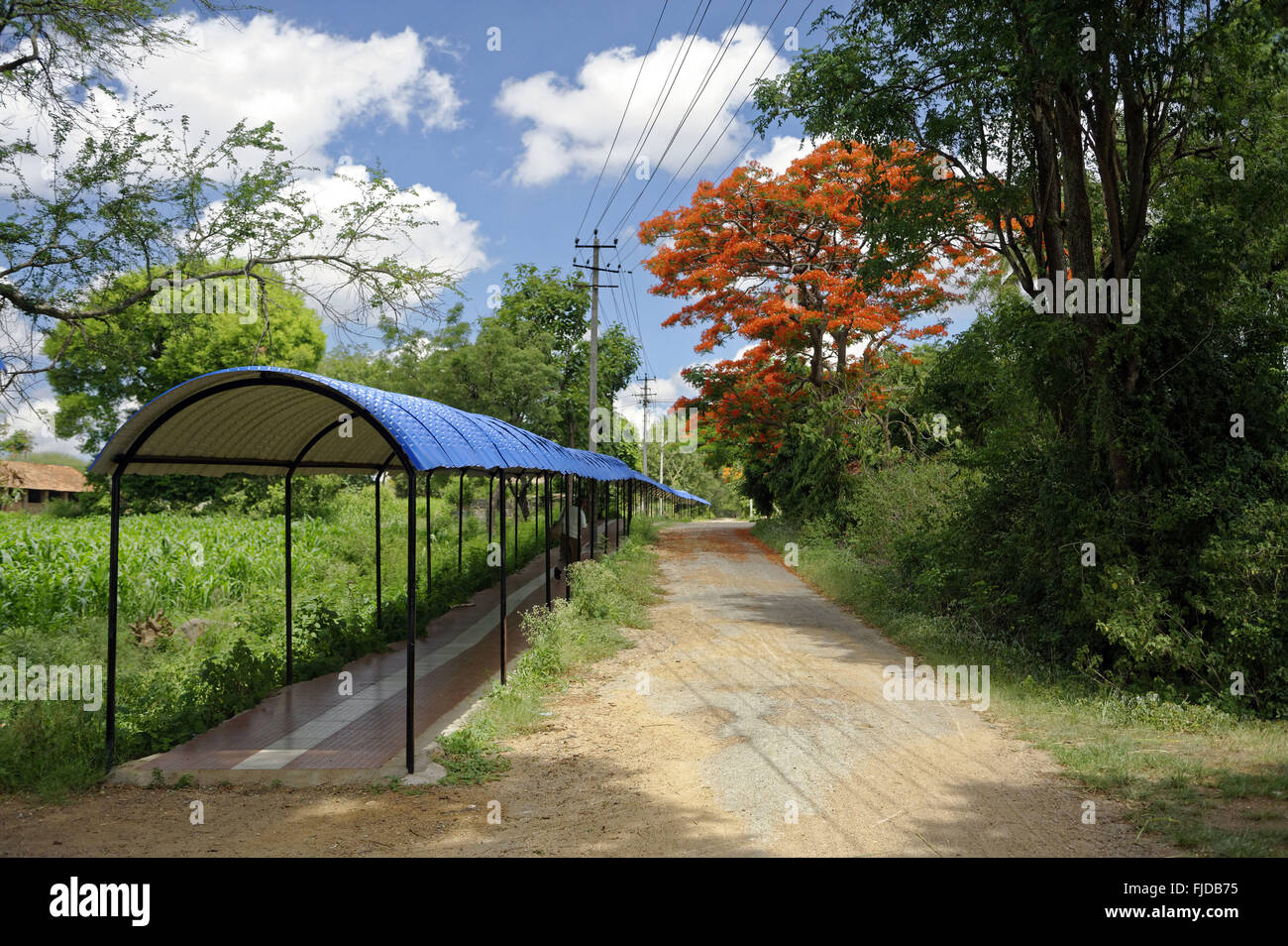Road for temple, bankapur, haveri, Karnataka, india, asia Stock Photo ...