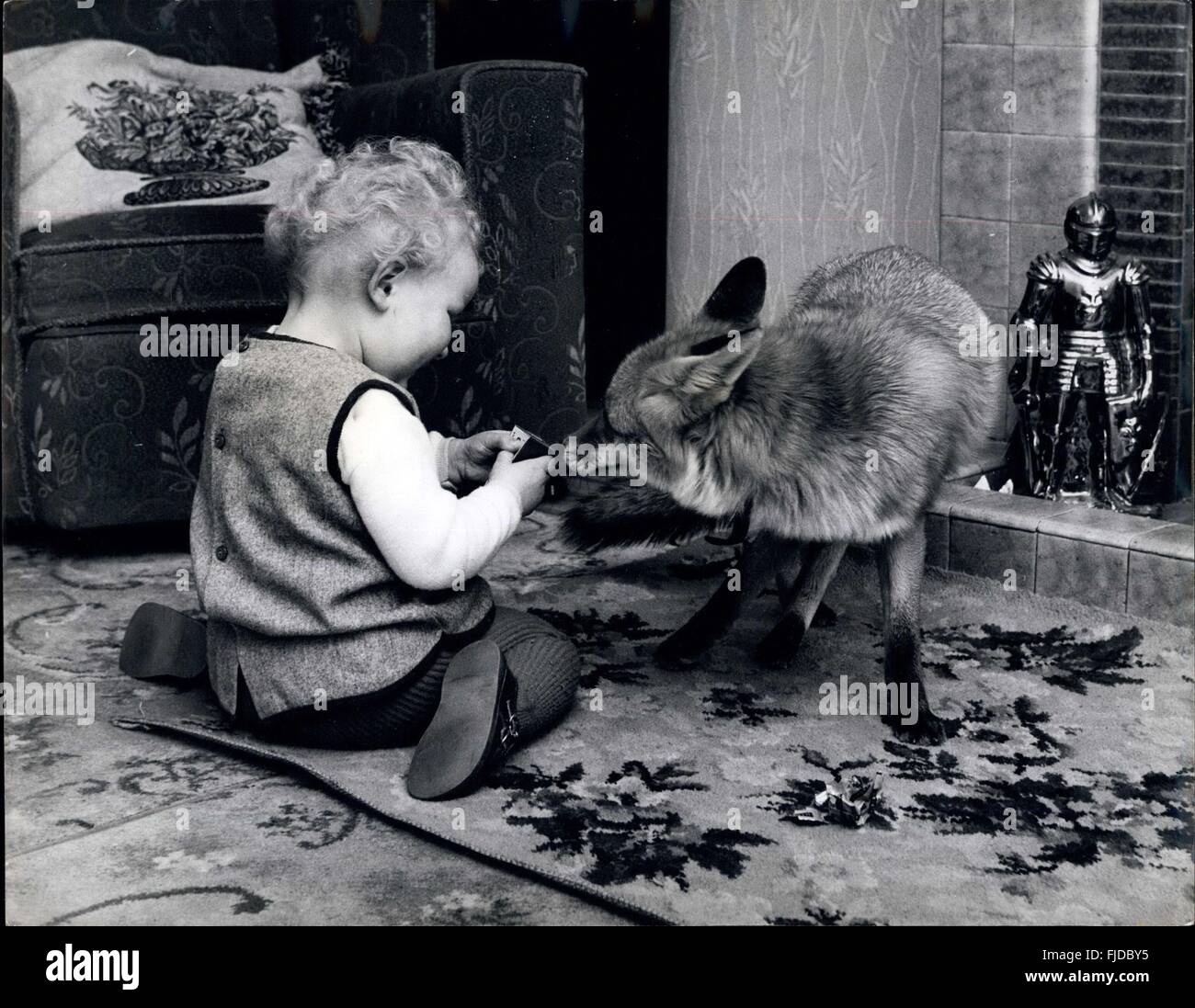 1956 - Two inquisitive creatures Vanessa and her favourite playmate ...