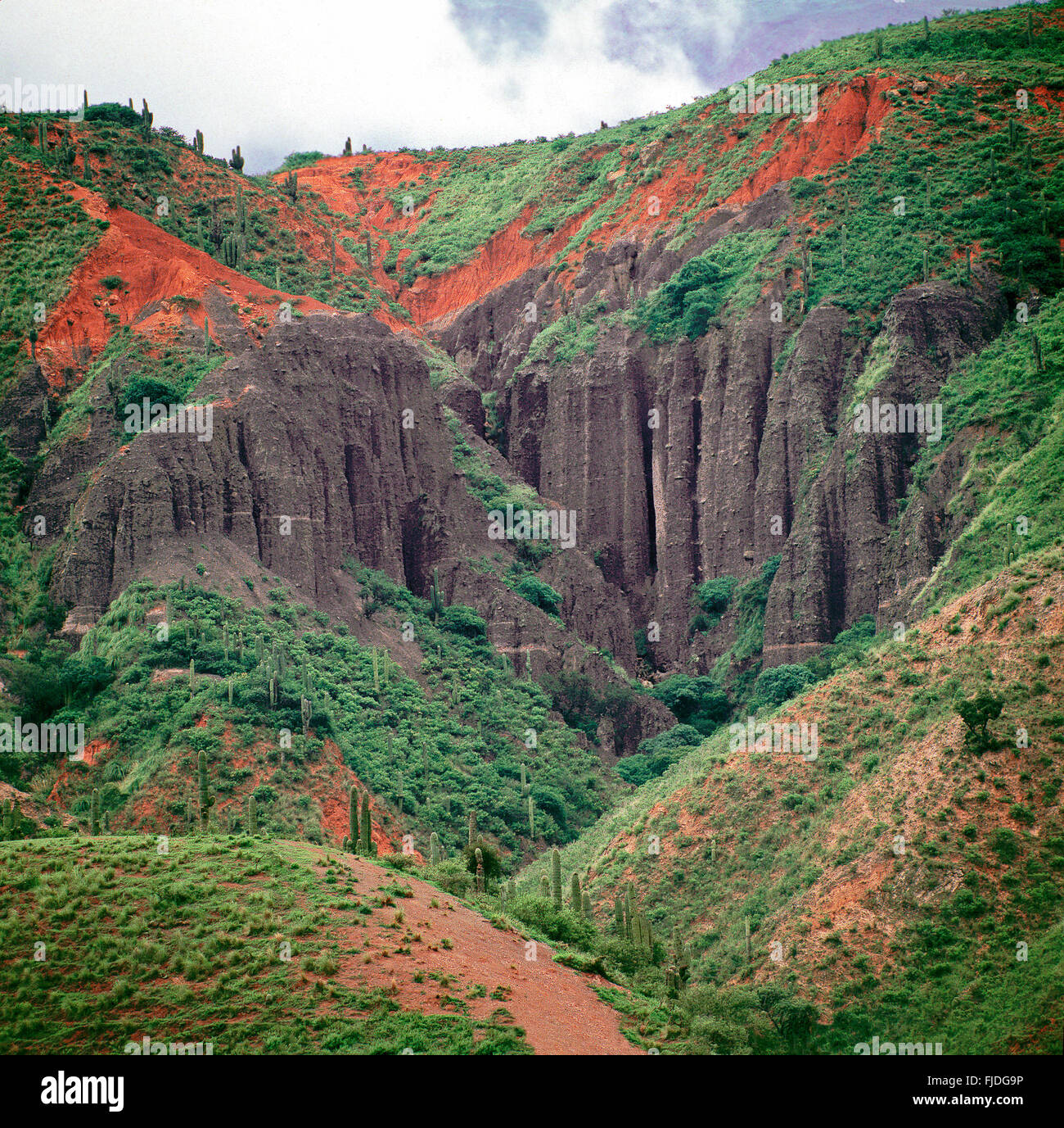 Vinia hi-res stock photography and images - Alamy