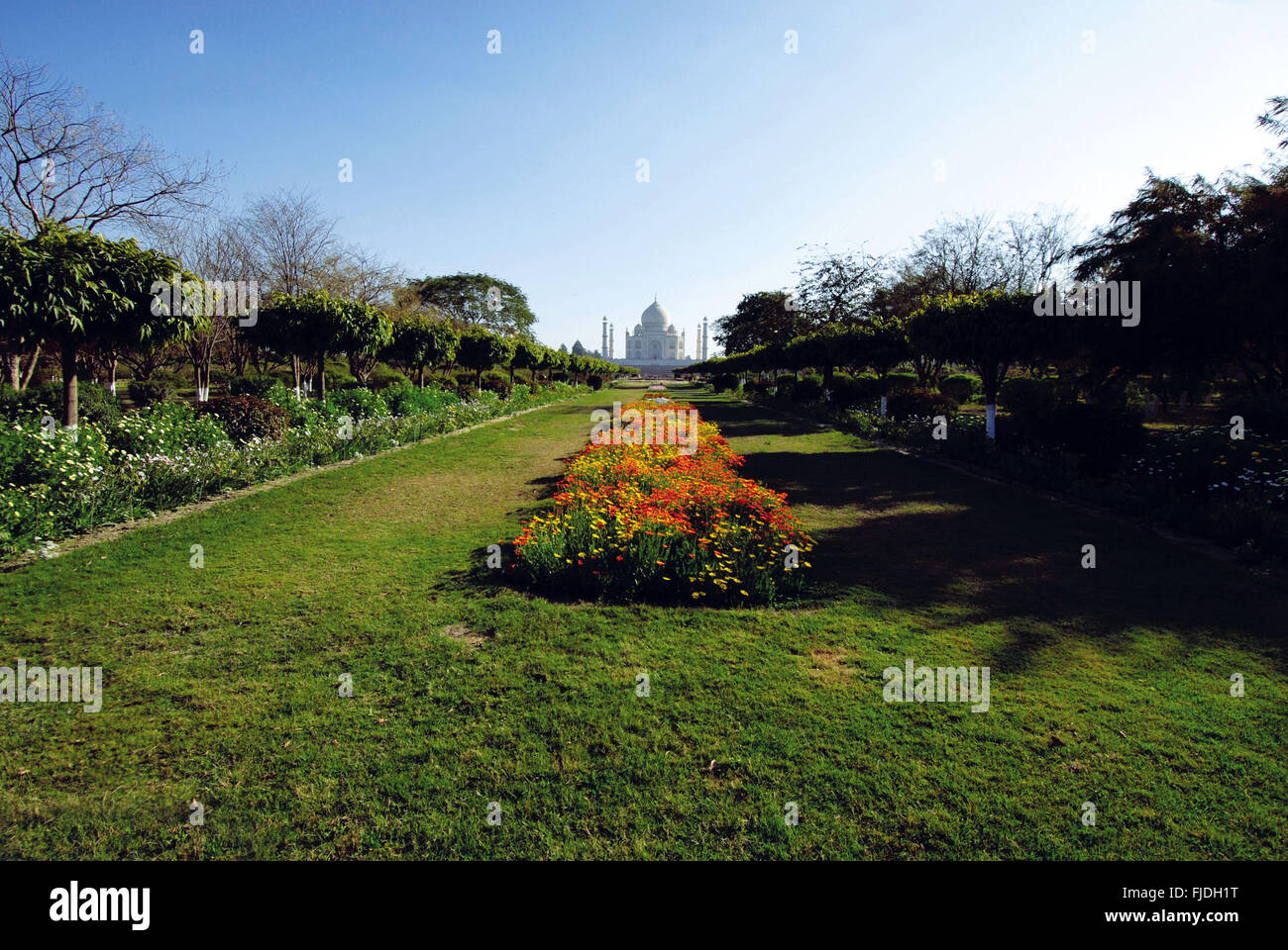 Taj Mahal, mehtab baug char bagh, agra, delhi, india, asia Stock Photo ...