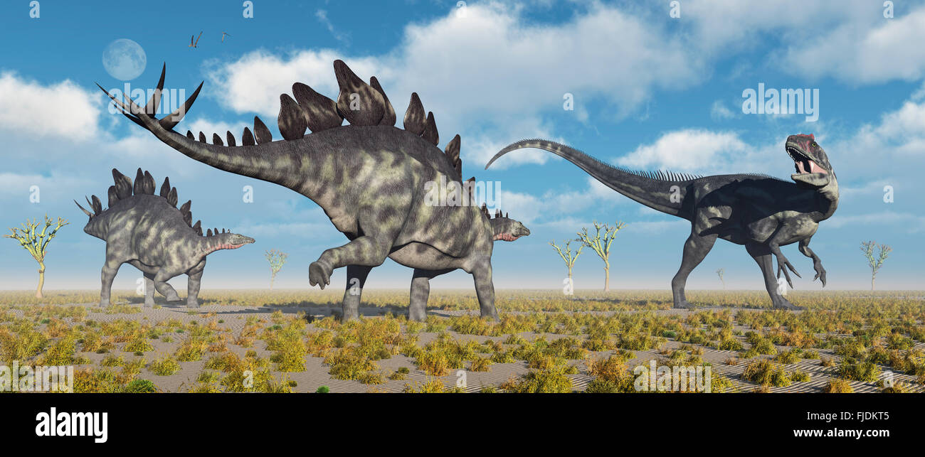 Stegosaurus allosaurus hi-res stock photography and images - Alamy