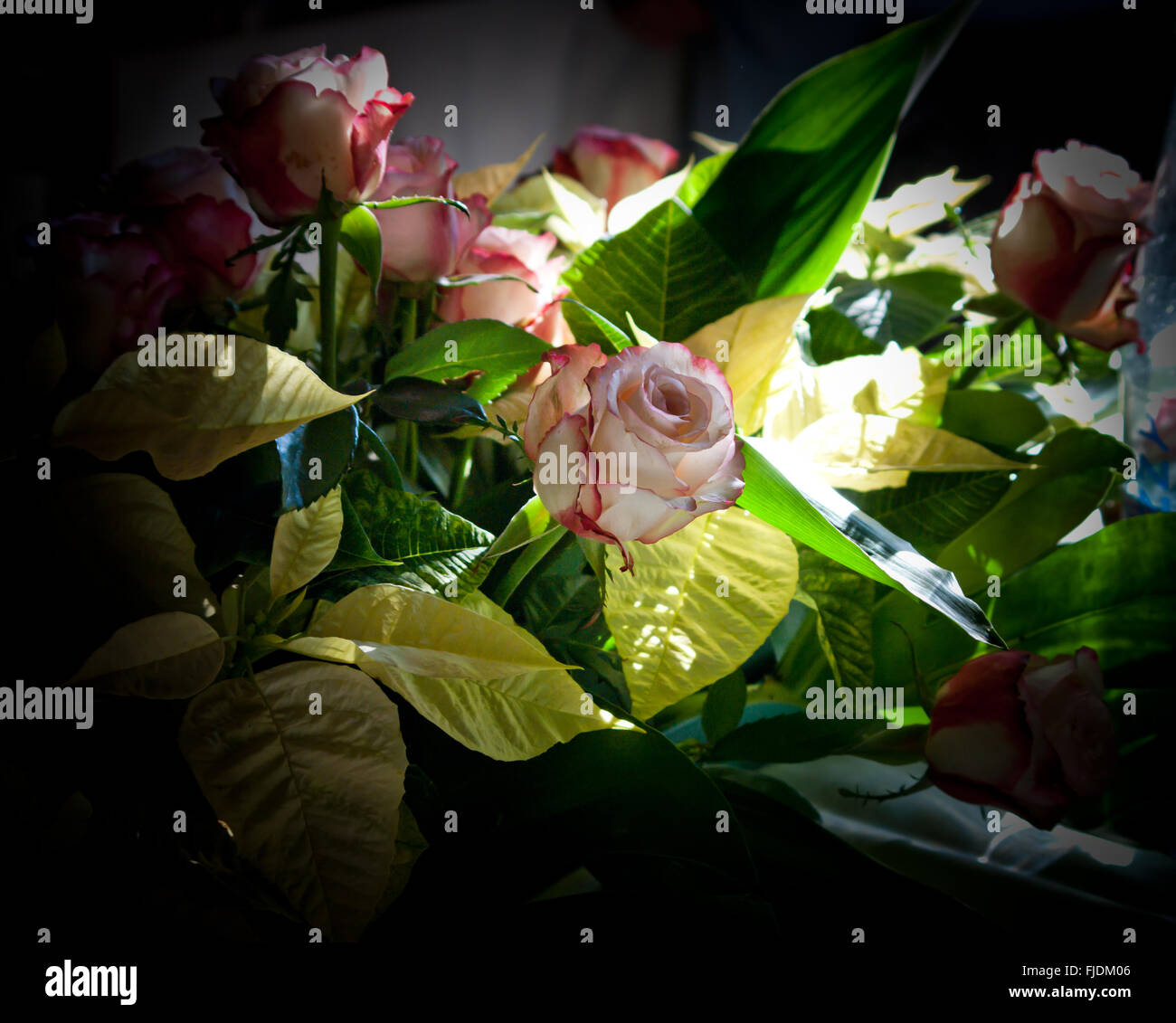 a beautiful bouquet of roses brightens your best day Stock Photo - Alamy