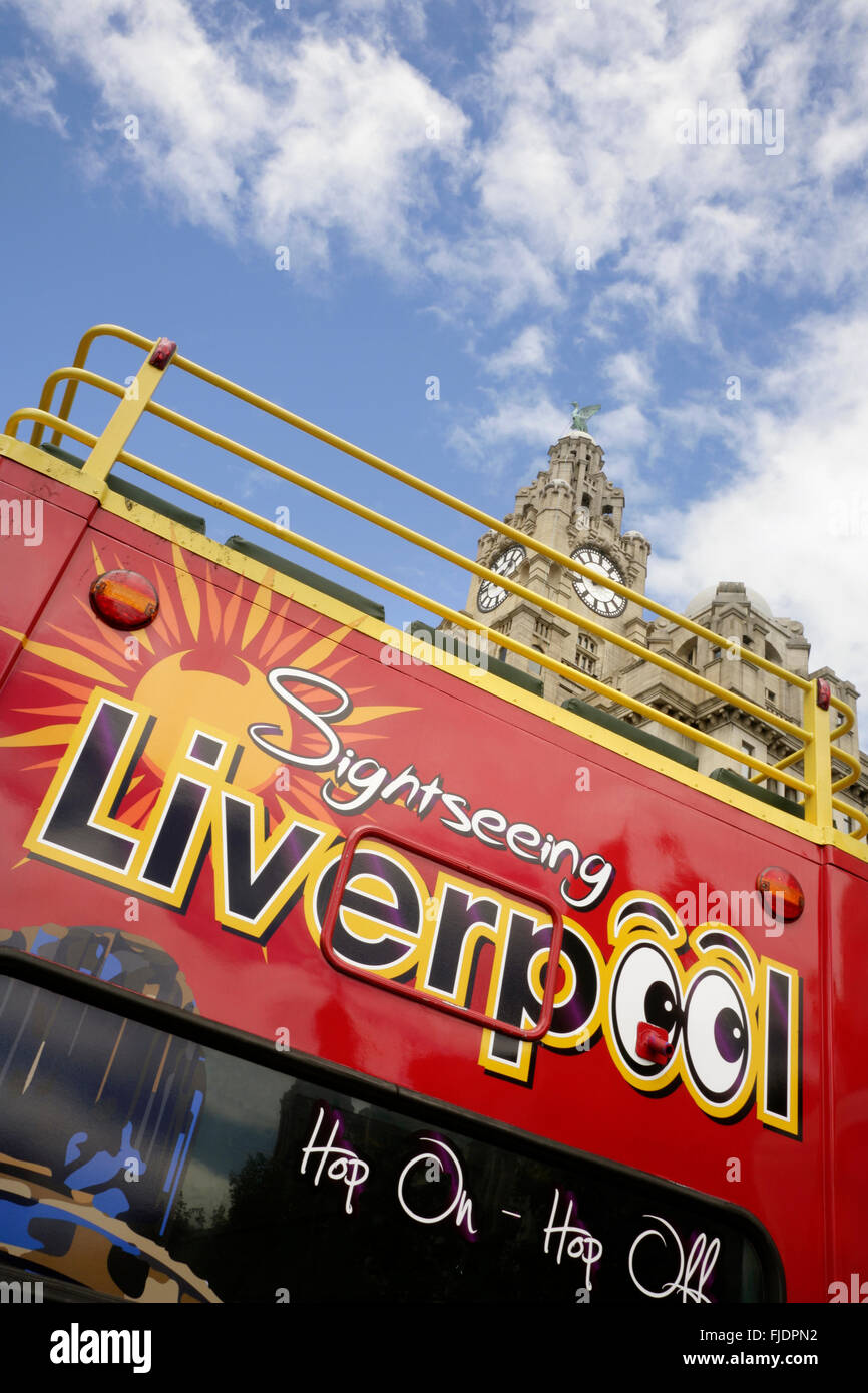 Sightseeing Liverpool Red Bus High Resolution Stock Photography and ...