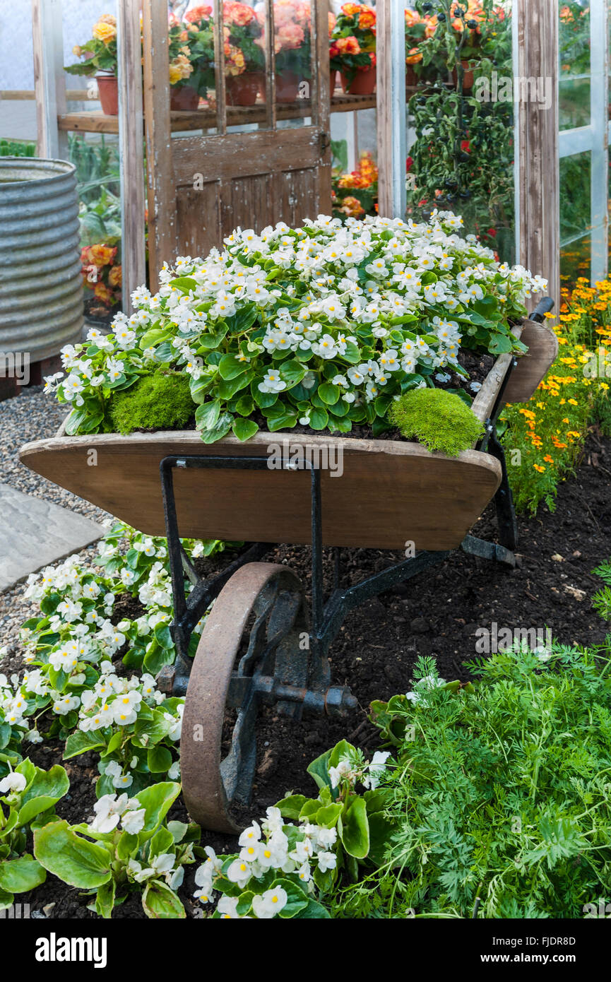 Flowers in a wheelbarrow hi-res stock photography and images - Alamy