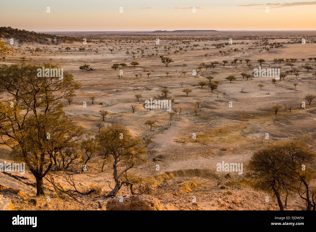 Australian outback near Winton, Queensland, in drought, dry and dusty ...