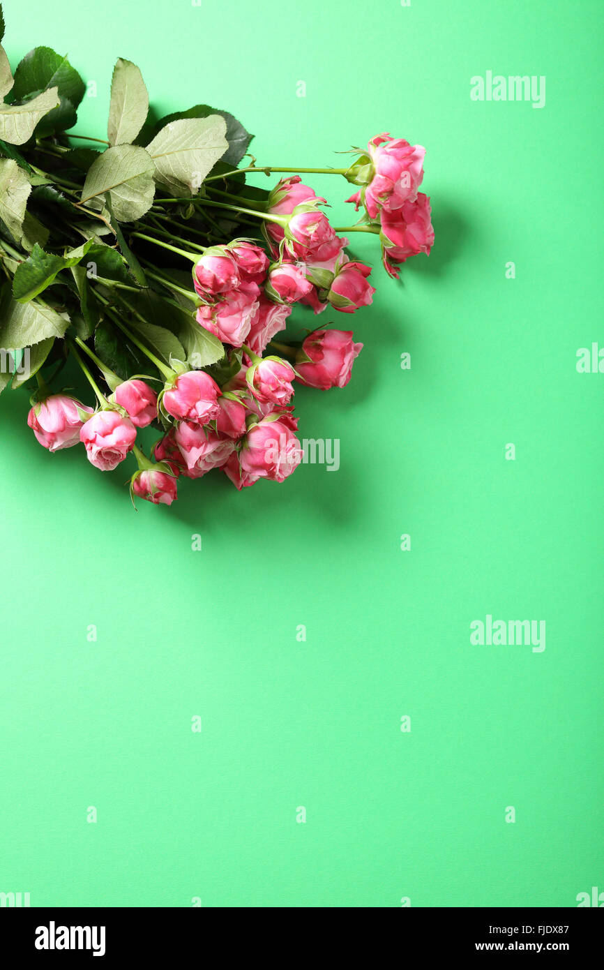 small roses on paper background, flowers Stock Photo - Alamy
