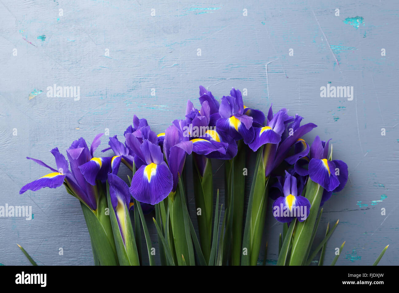 iris bouquet top view Stock Photo - Alamy