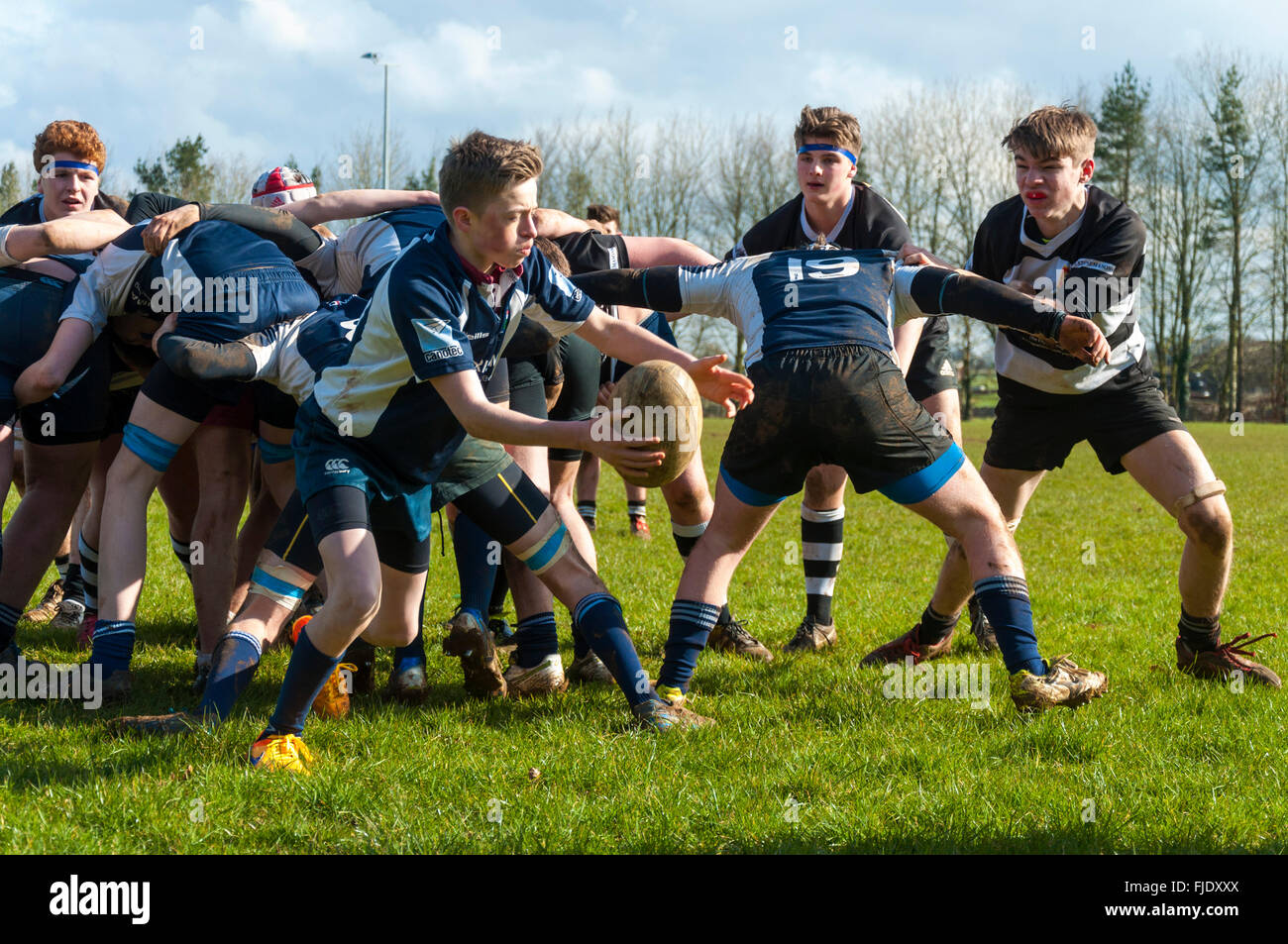 School rugby team hi-res stock photography and images - Alamy