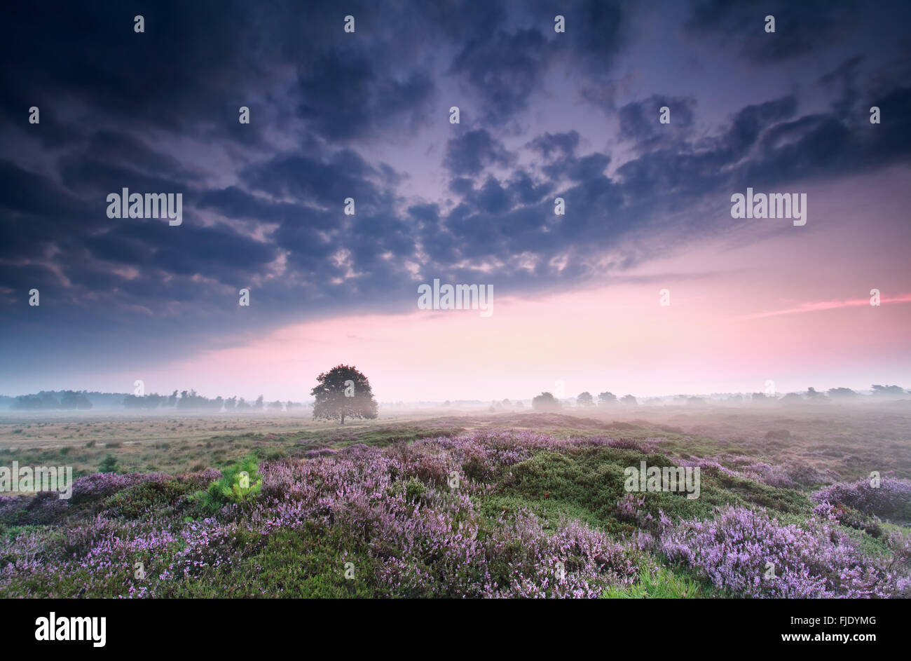 Cloudy morning with sunrise hi-res stock photography and images - Alamy