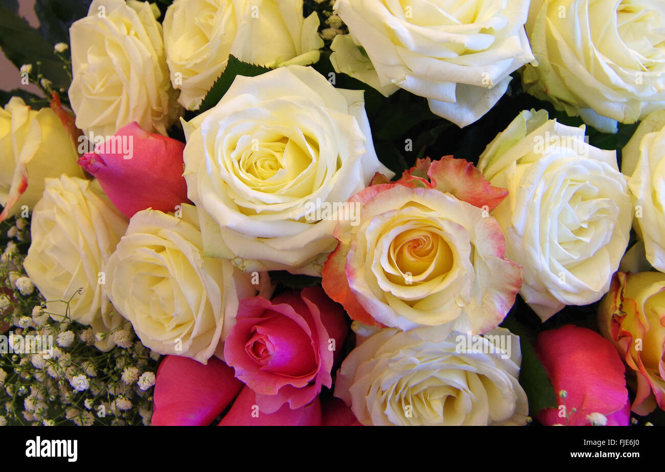 a beautiful bouquet of roses brightens your best day Stock Photo - Alamy