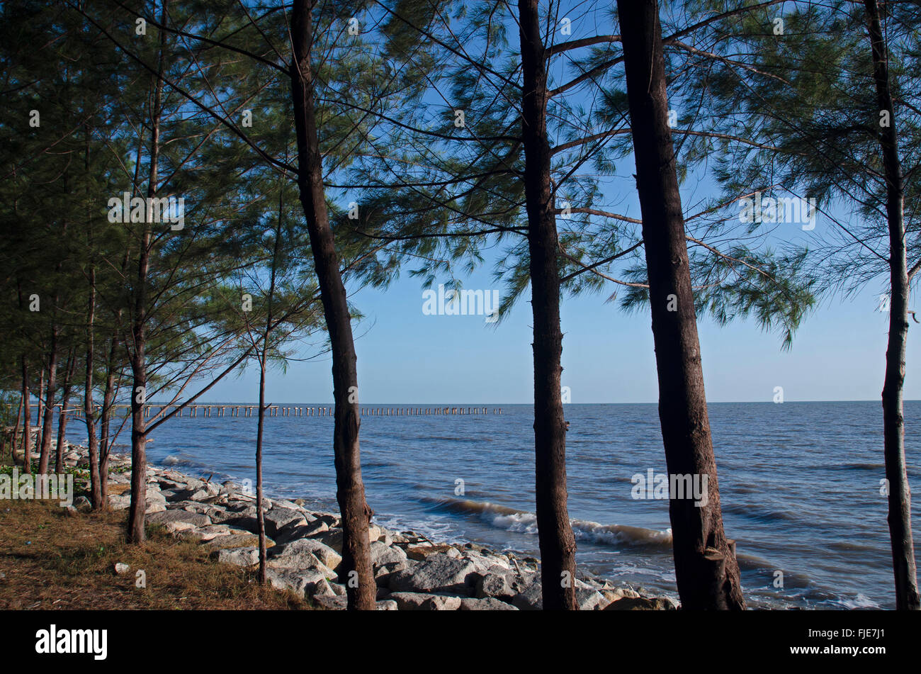 Bengkalis regency hi-res stock photography and images - Alamy