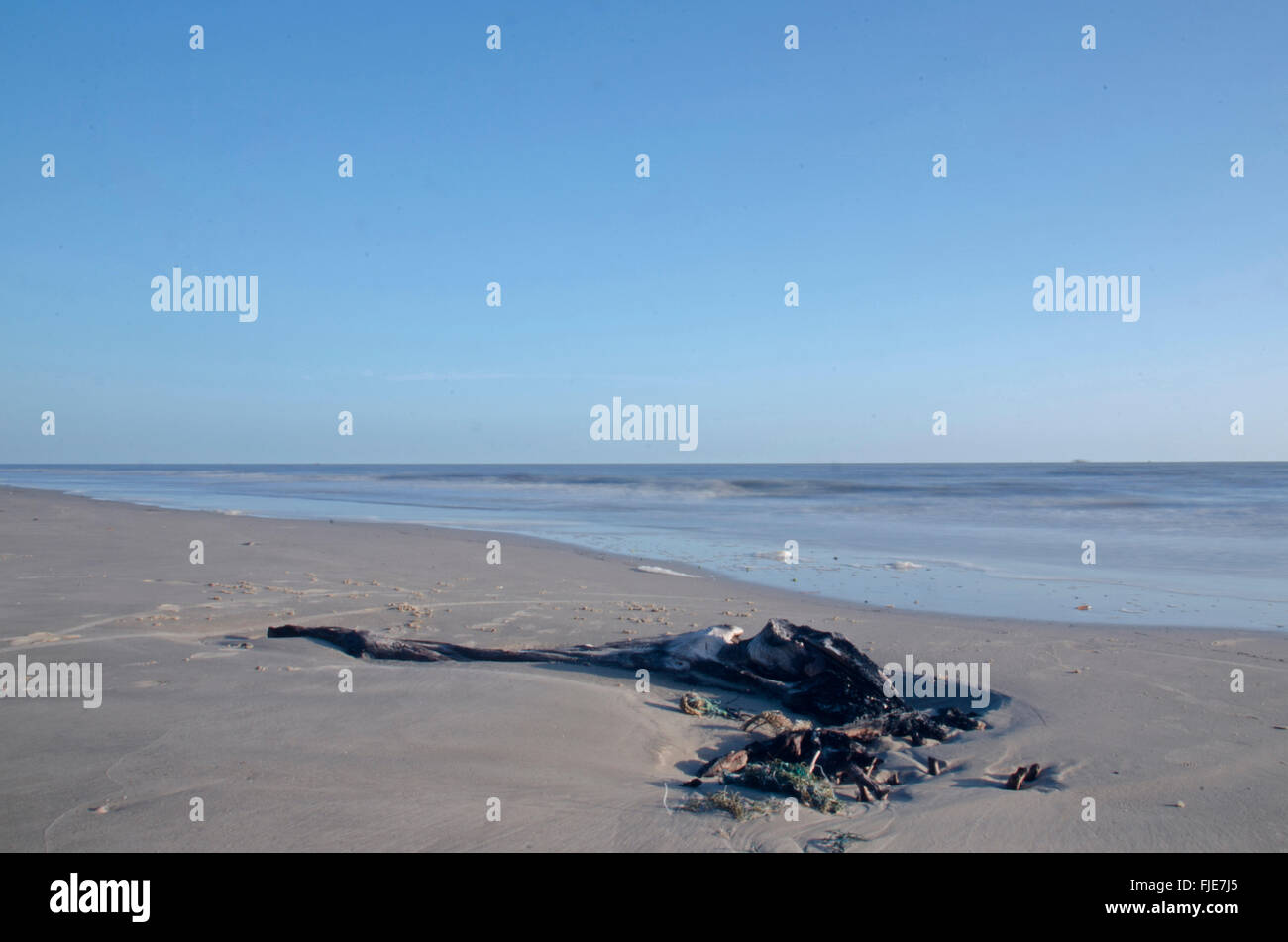 Punak hi-res stock photography and images - Alamy