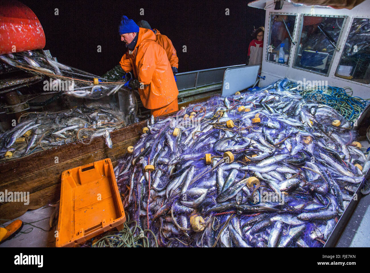 Freest, Germany. 02nd Mar, 2016. Fisherman Roland Braasch pulls in the ...
