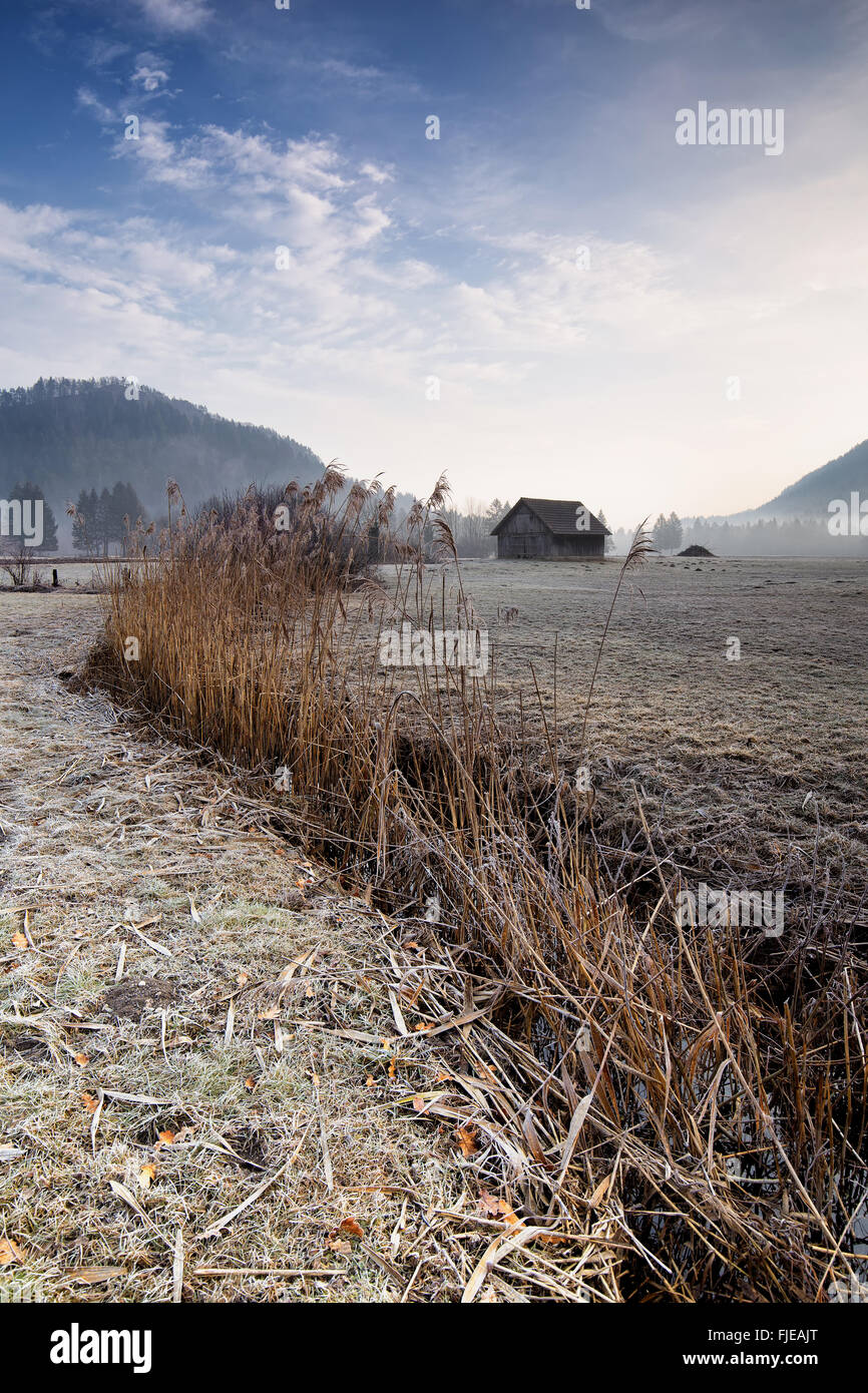 Sava Valley Frost with reeds and barn Stock Photo - Alamy