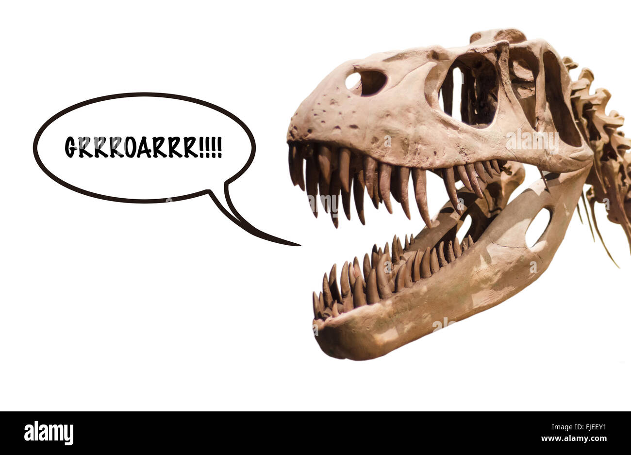 Tyrannosaurus Rex head with thought ballon with the word Grrroarrr!! on ...