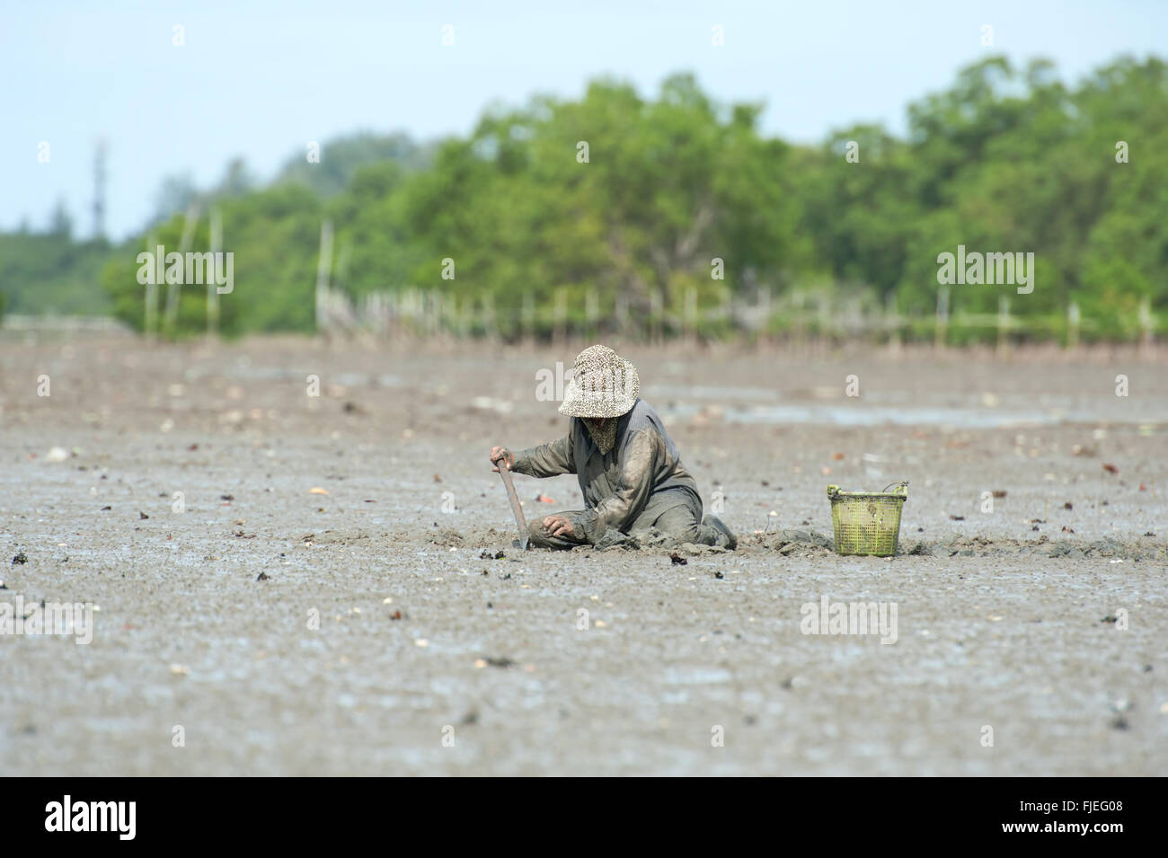 women find shellfish in soil Stock Photo - Alamy