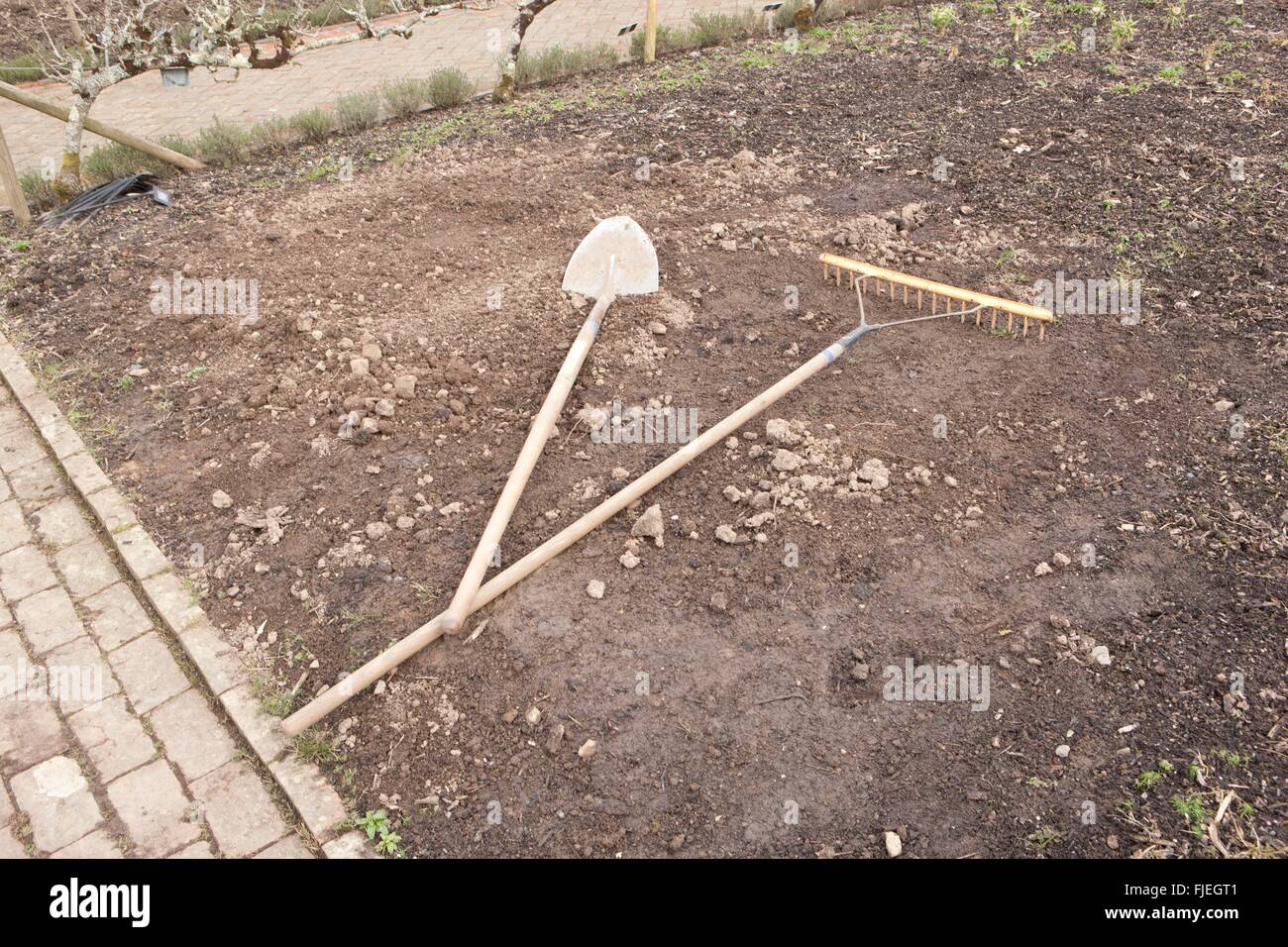 Tools on the ground in the Vegetable Garden at Rosemoor Stock Photo - Alamy