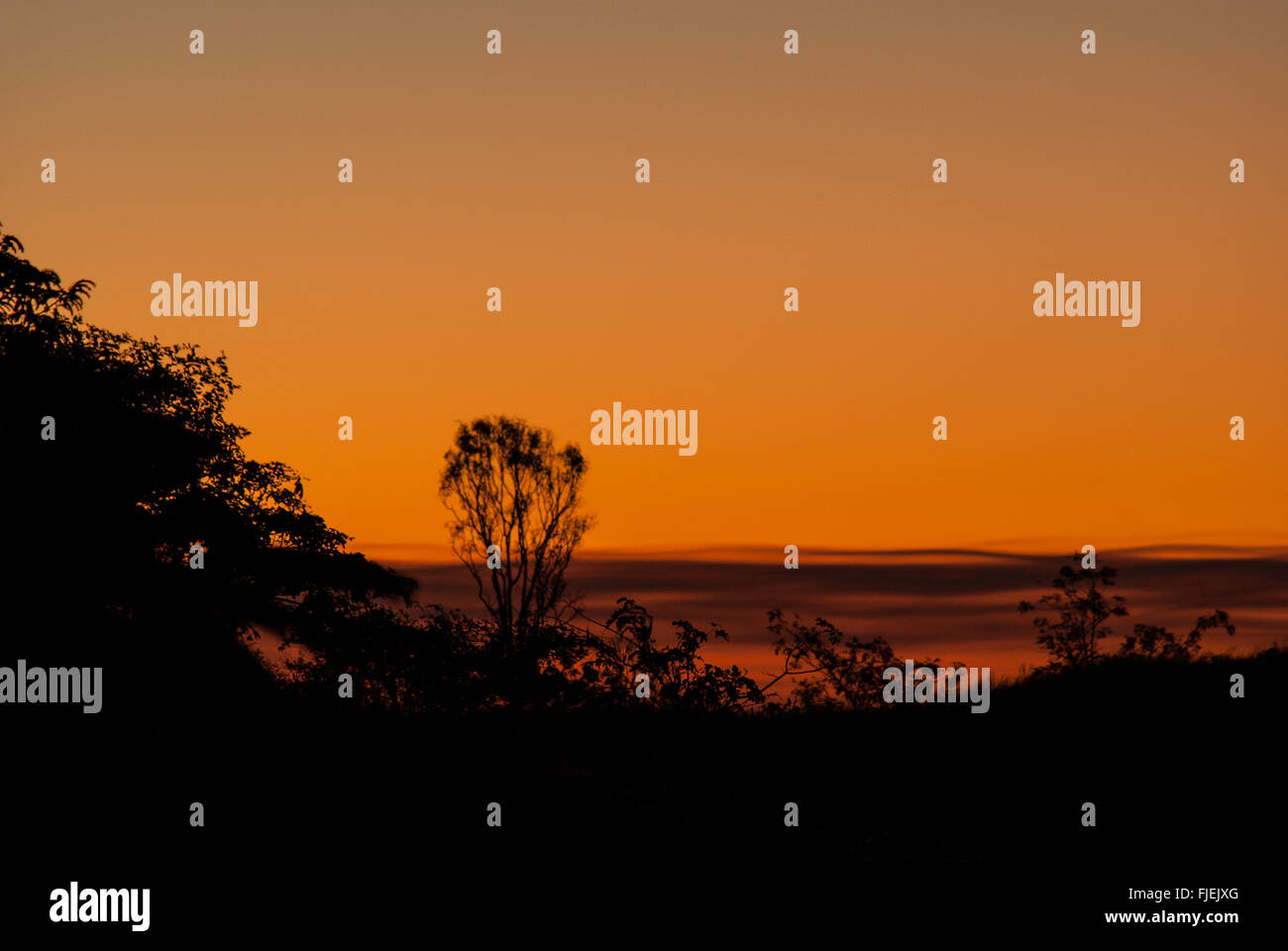 Orange sunset with trees in silhouette, Charters Towers, Australia ...