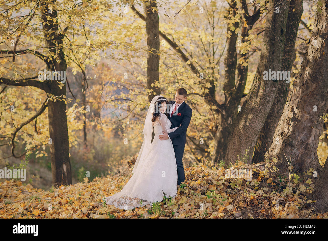 wonderful wedding day Stock Photo - Alamy