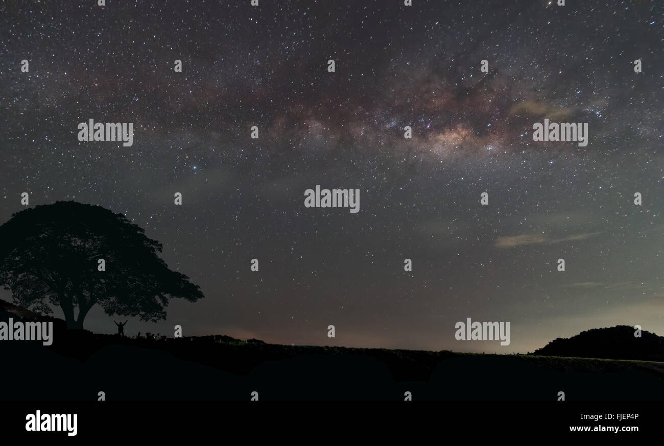 The Milky Way and some trees. In the mountains Stock Photo - Alamy