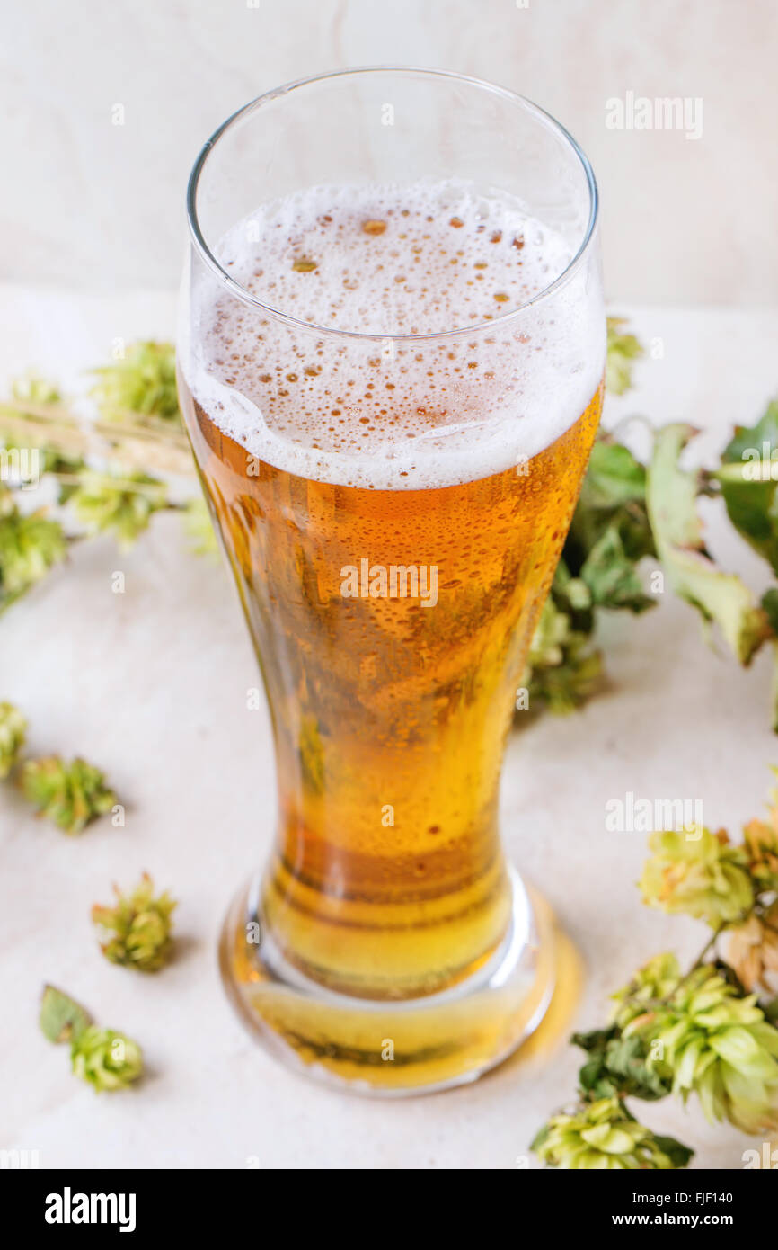 Glass of lager beer Stock Photo - Alamy