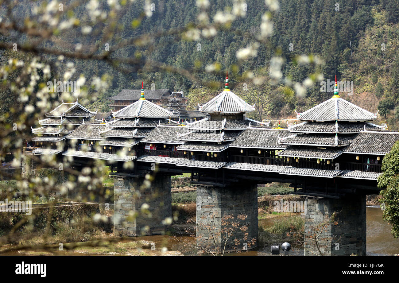 Sanjiang. 2nd Mar, 2016. Photo taken on March 2, 2016 shows the ...