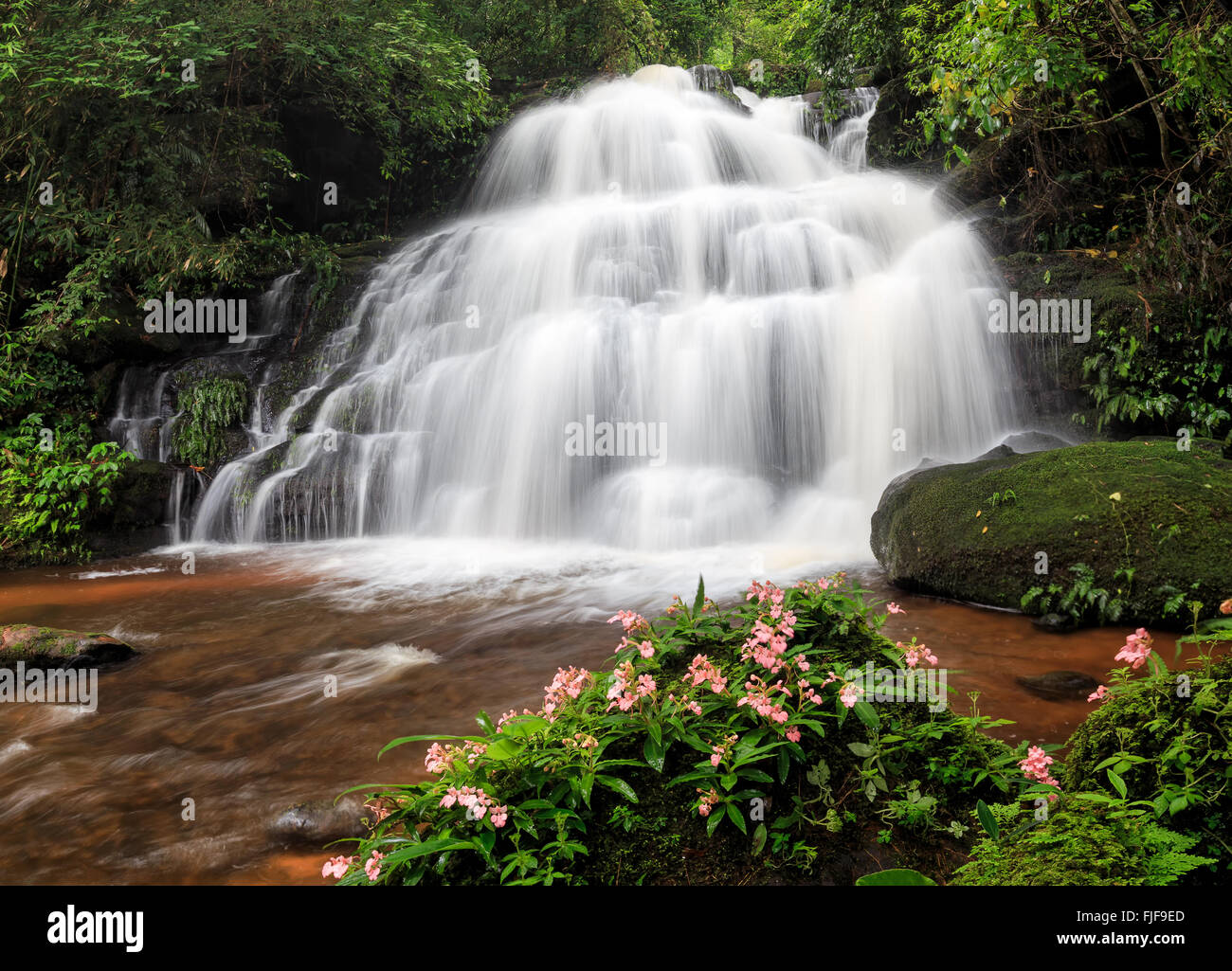 Waterfall in rain forest , Thailand Stock Photo - Alamy